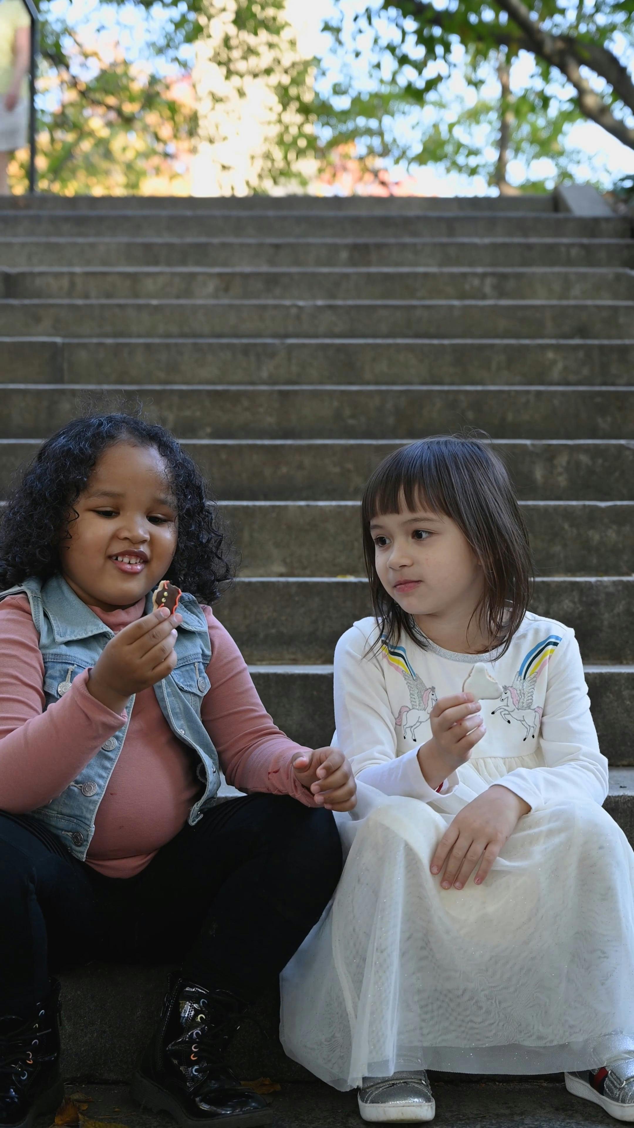 Step Dining Videos, Download The BEST Free 4k Stock Video Footage ...