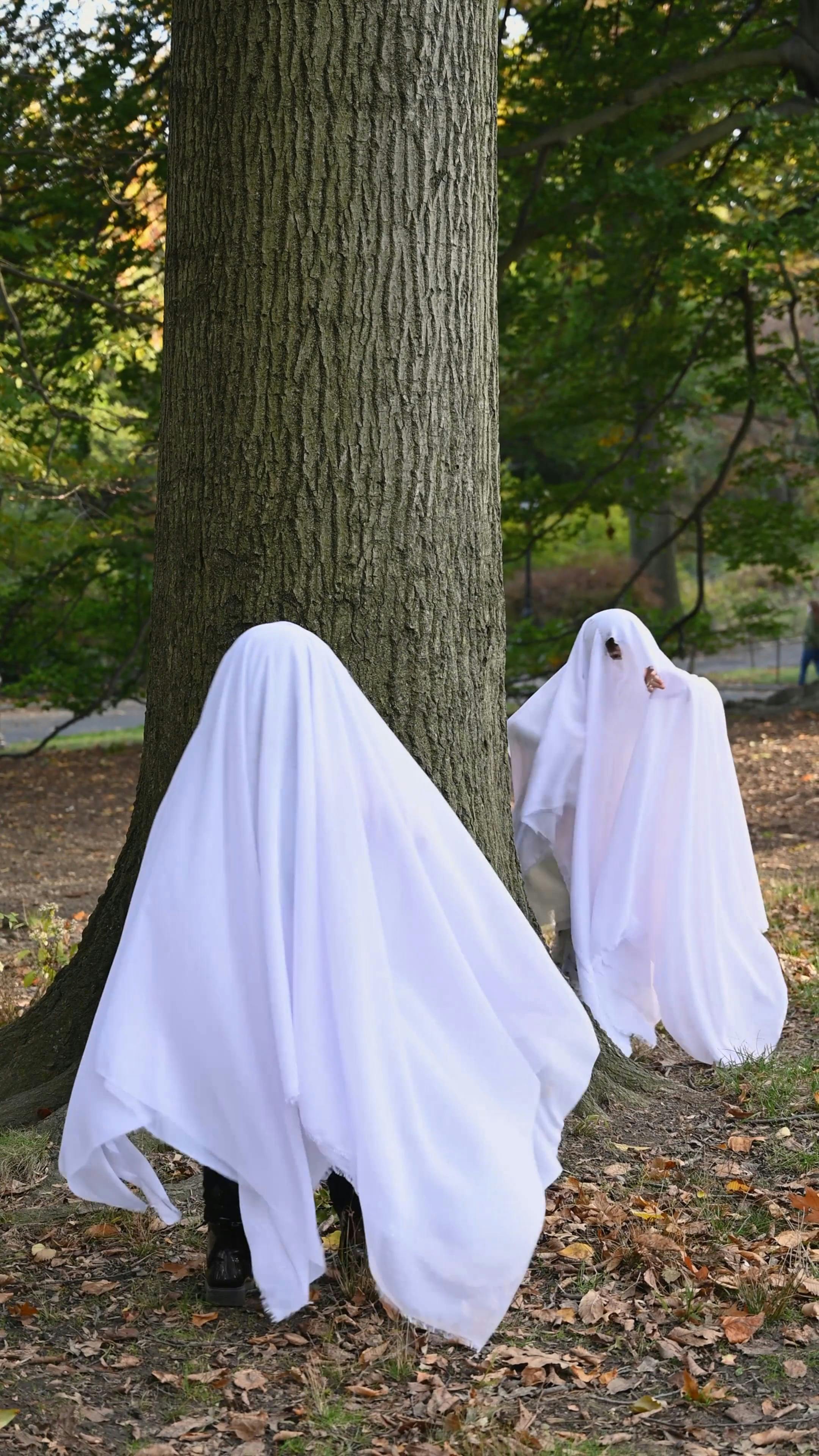 Funny Ghost Videos, Download The BEST Free 4k Stock Video Footage ...