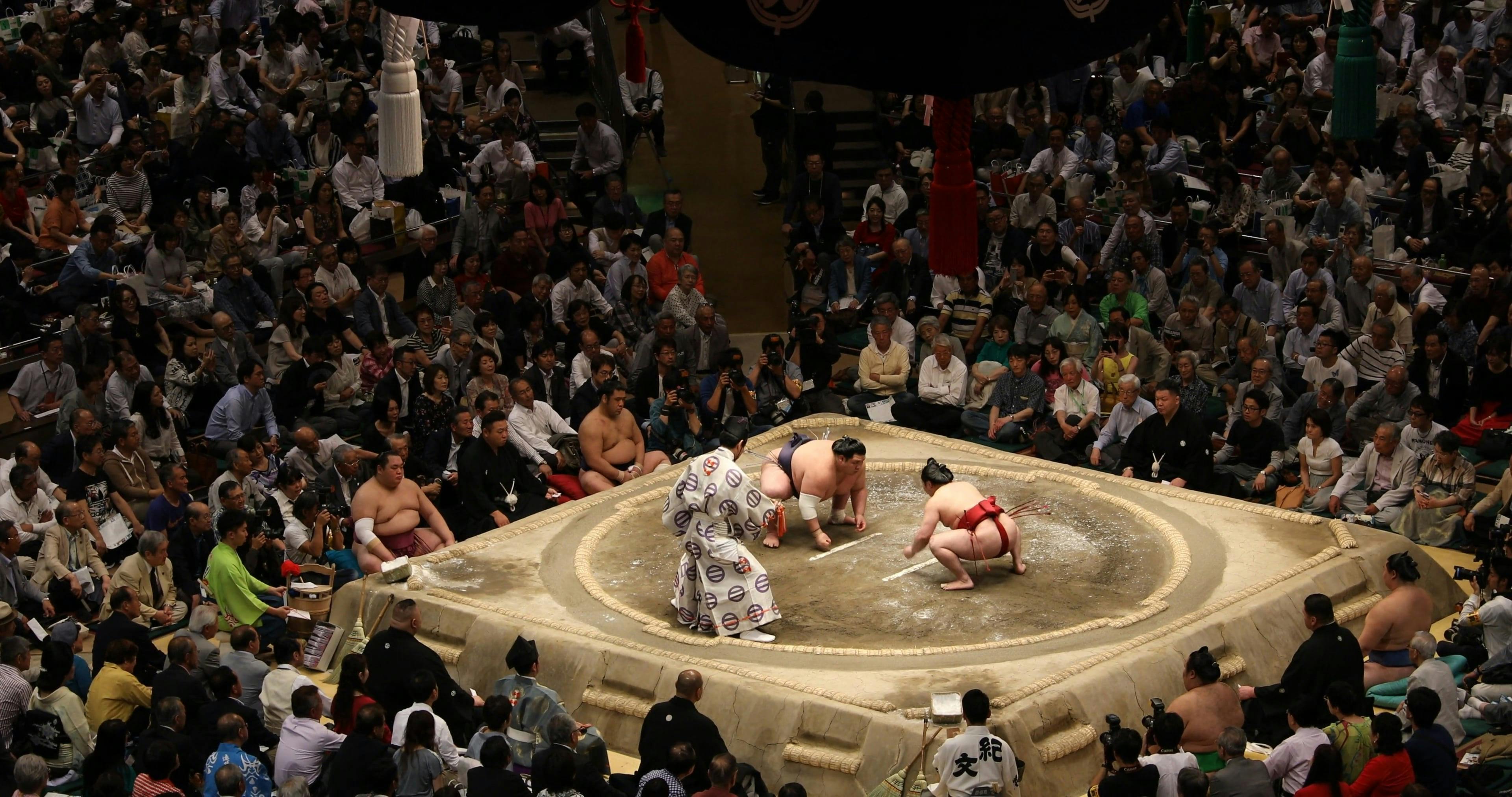 12+ Vidéos De Sumo บนเก้าอี้ Libre de Droit, Clips Vidéo de Sumo บน ...