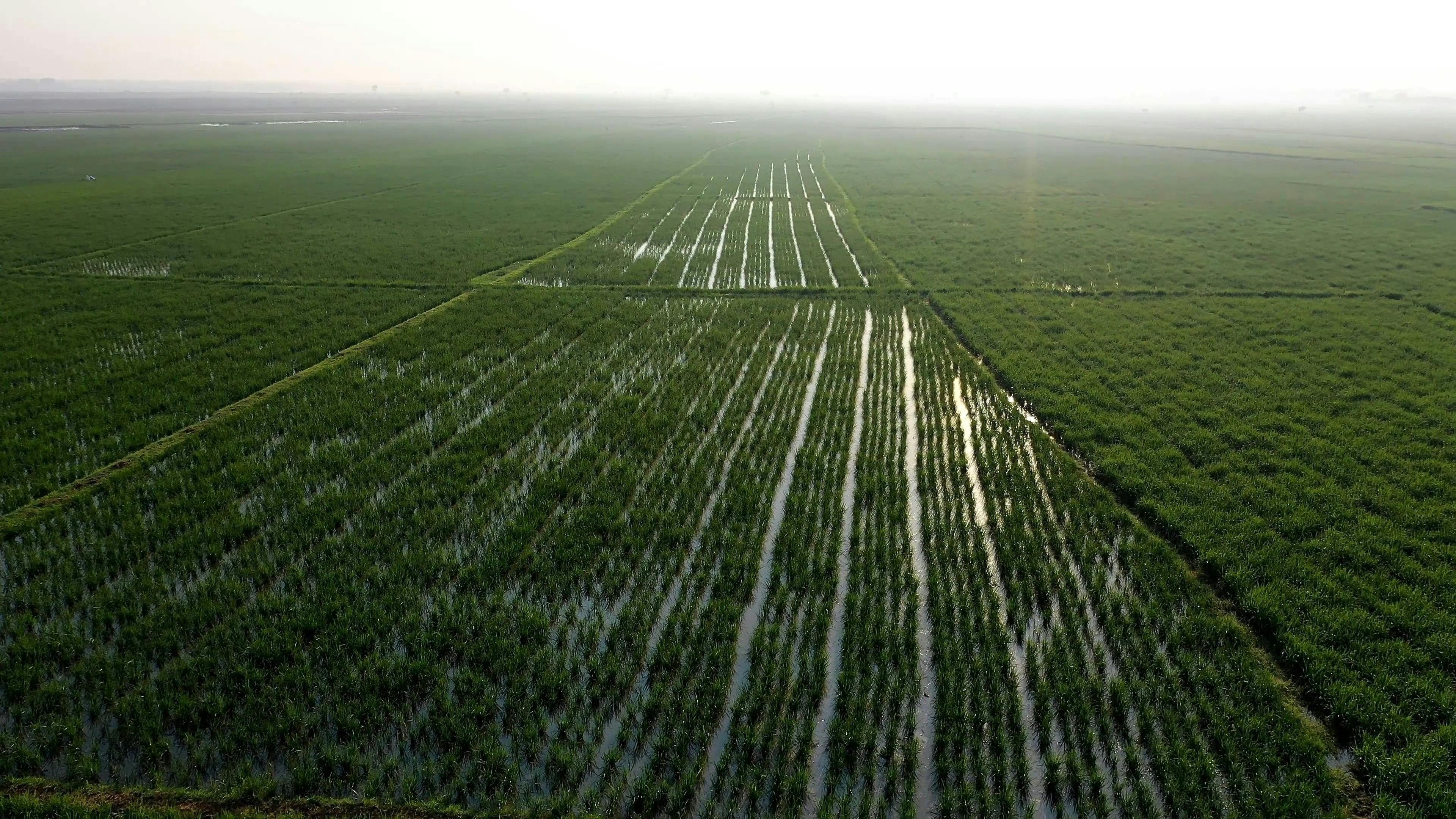 Aerial View of Farm Fields Free Stock Video Footage, Royalty-Free 4K ...