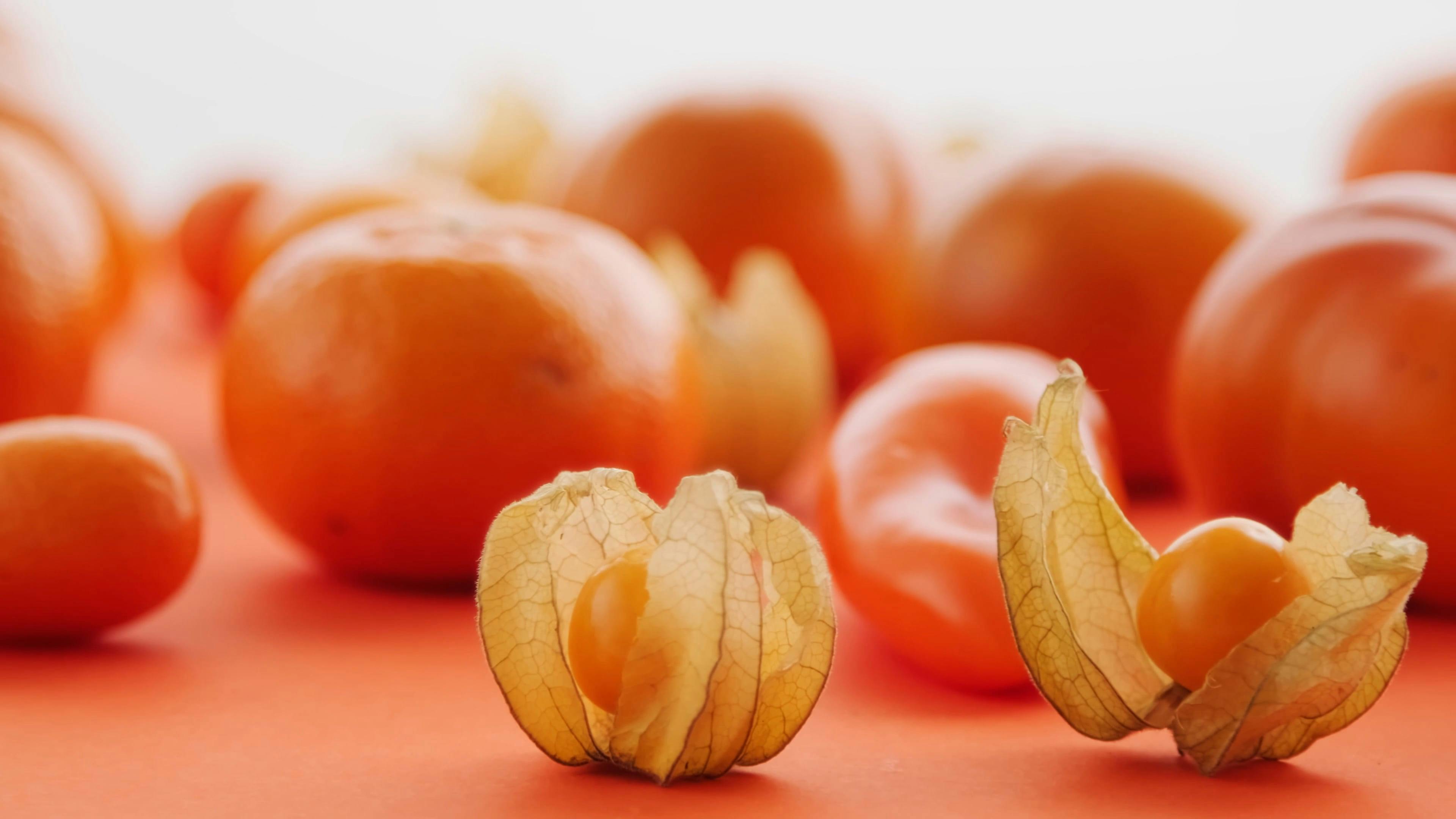 Video stok gratis tentang alam, alami, artistik, berair, bisa dimakan ...