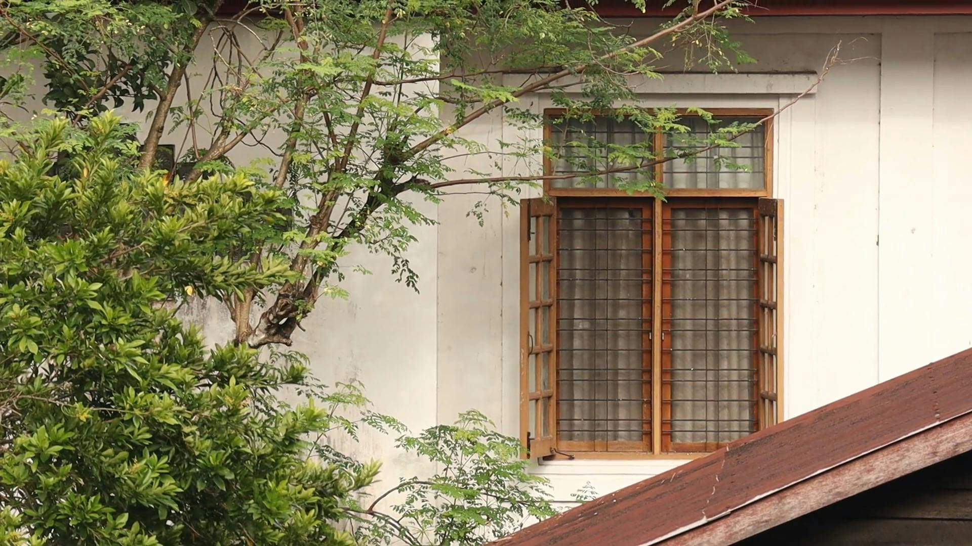 Video of an Open Window Free Stock Video Footage, Royalty-Free 4K & HD ...