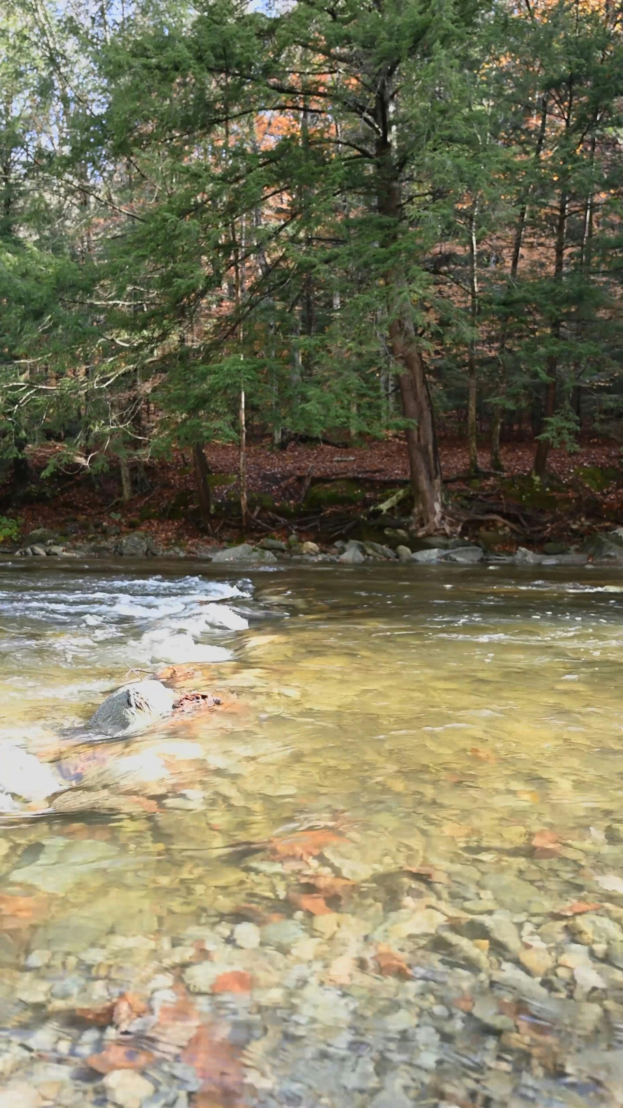 River Flowing Free Stock Video Footage, Royalty-Free 4K & HD Video Clip