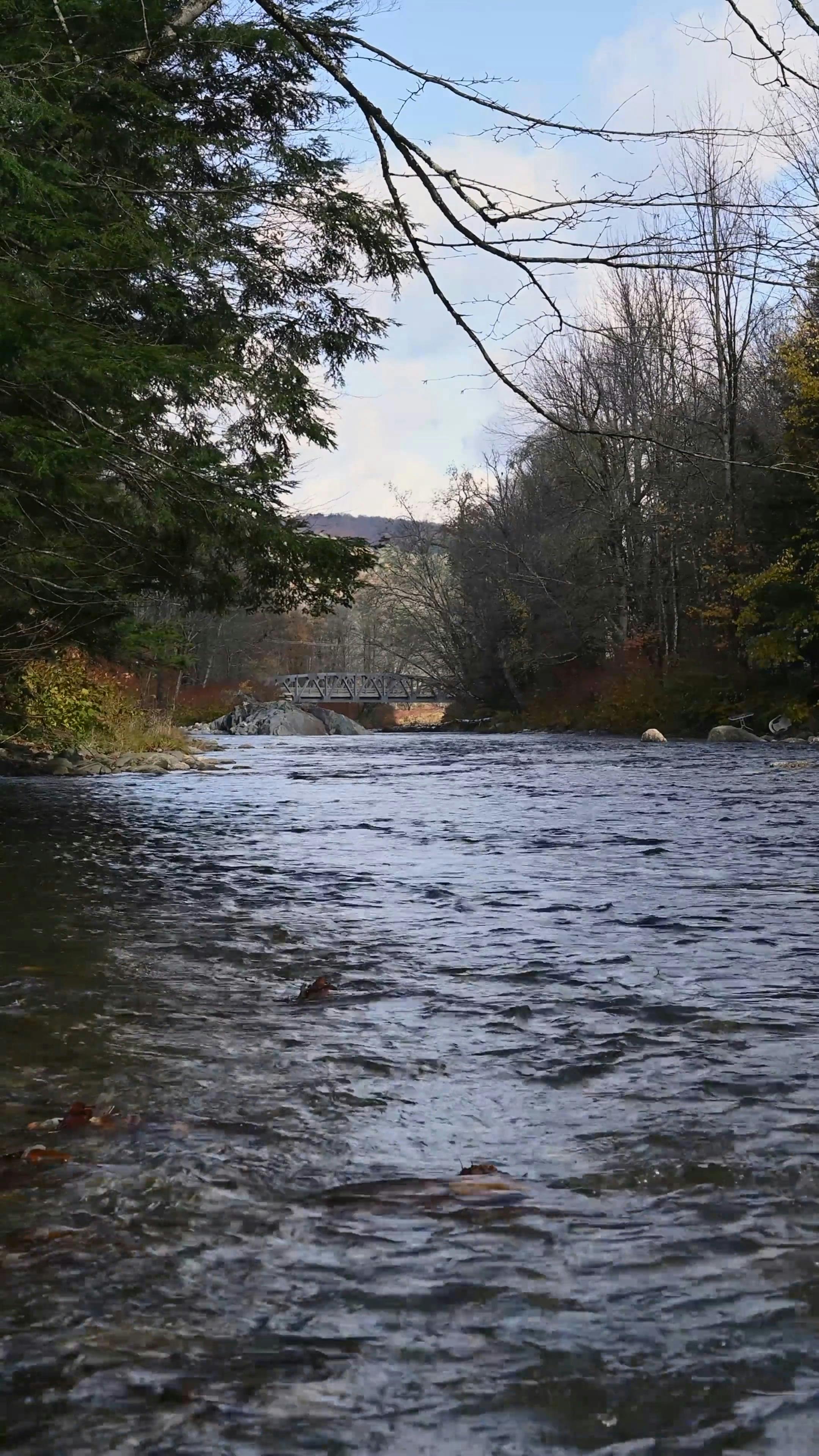 River Flowing · Free Stock Video