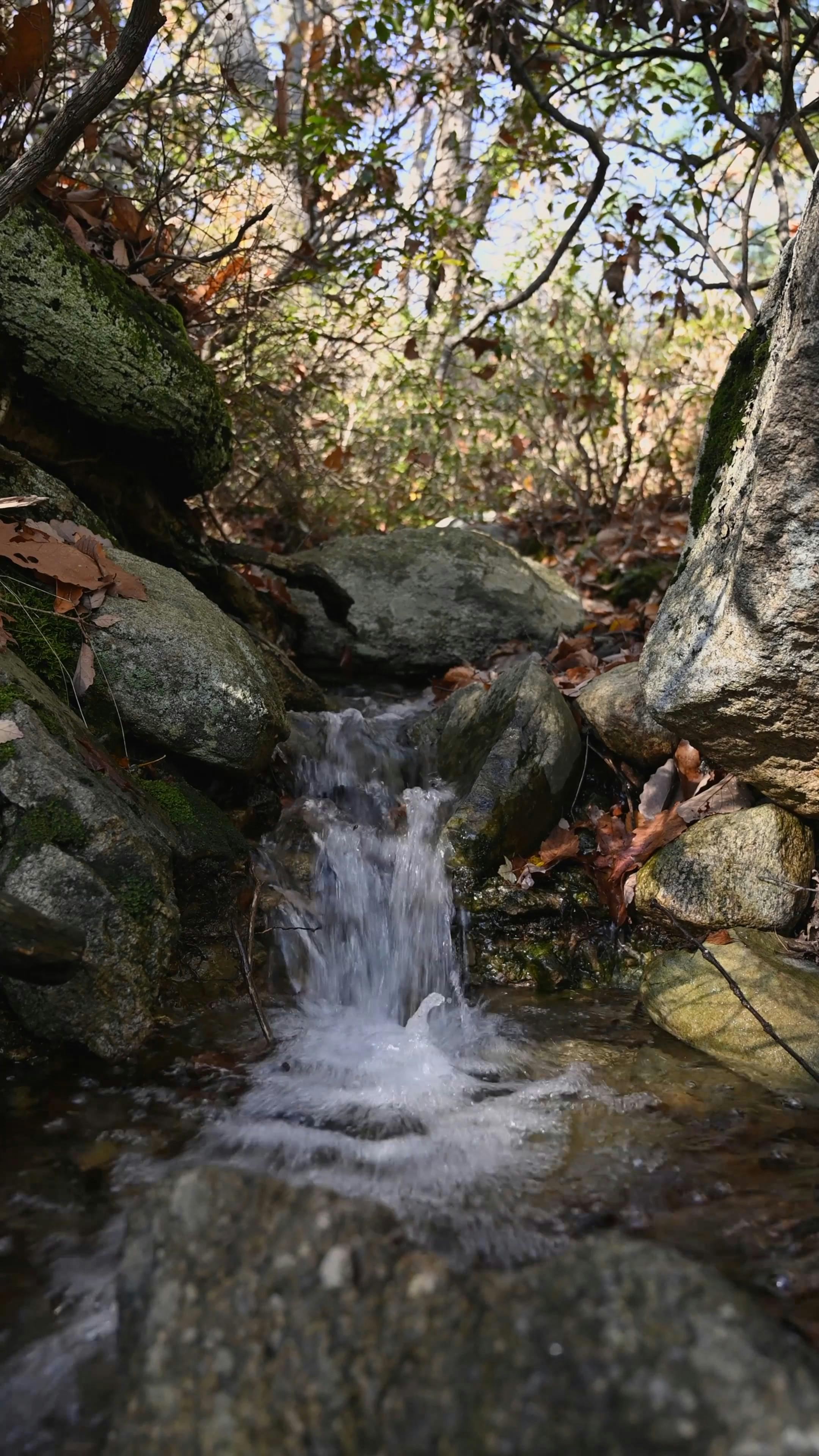 Little Waterfall · Free Stock Video