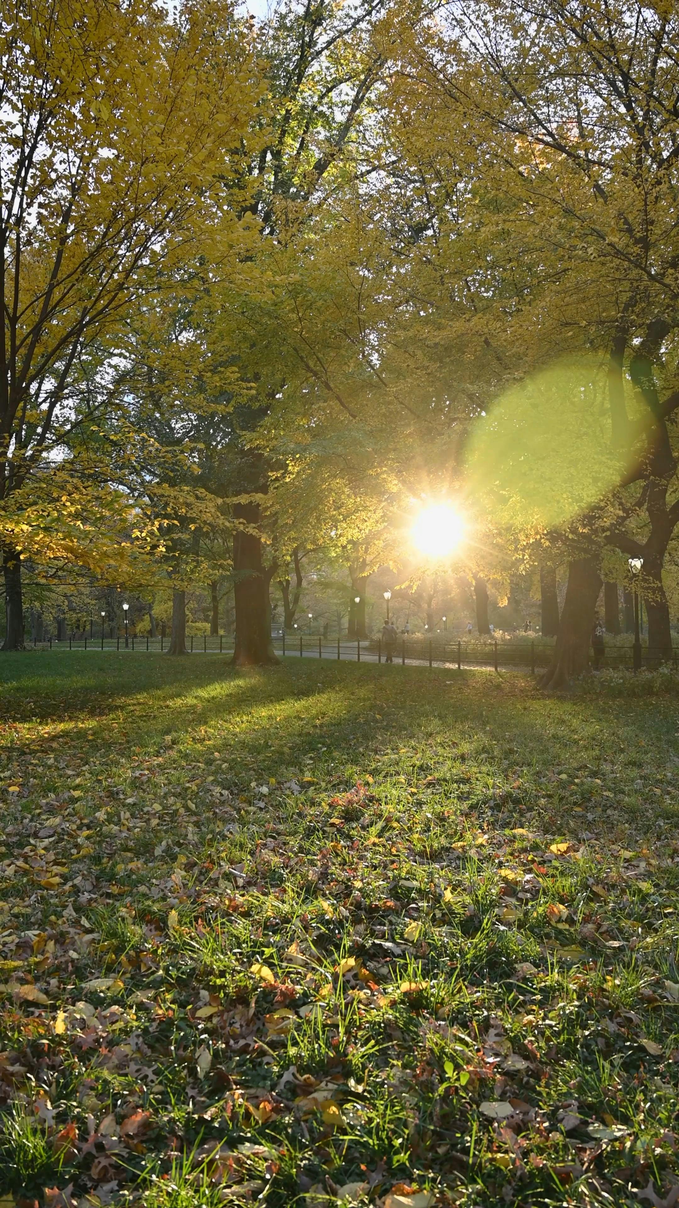 Horizontal Alignment Videos, Download The BEST Free 4k Stock Video ...