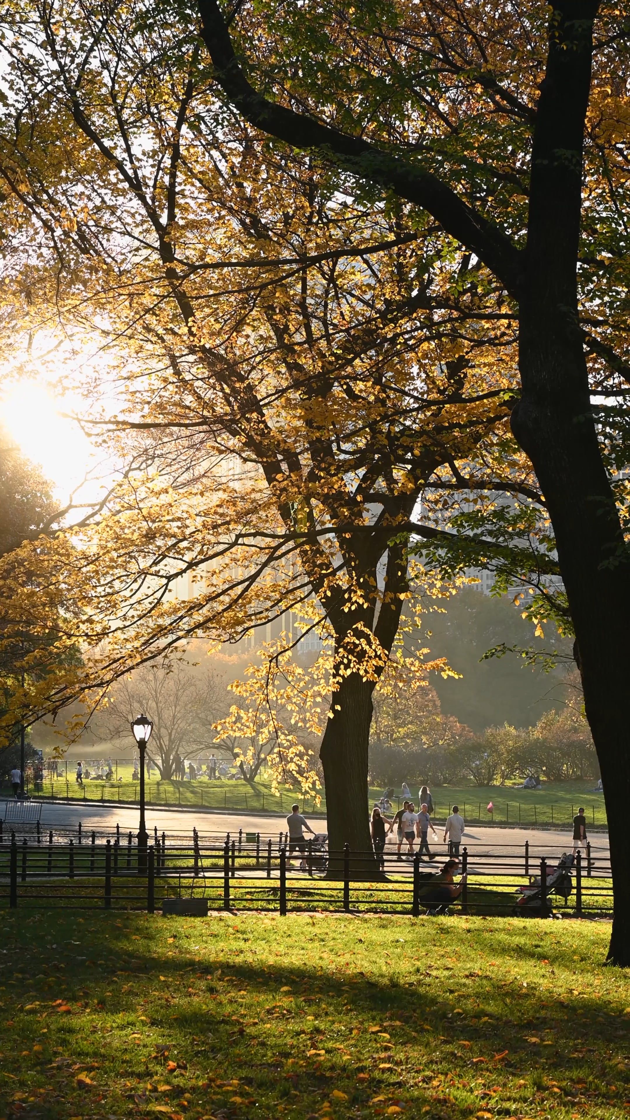 People Walking at the Park · Free Stock Video