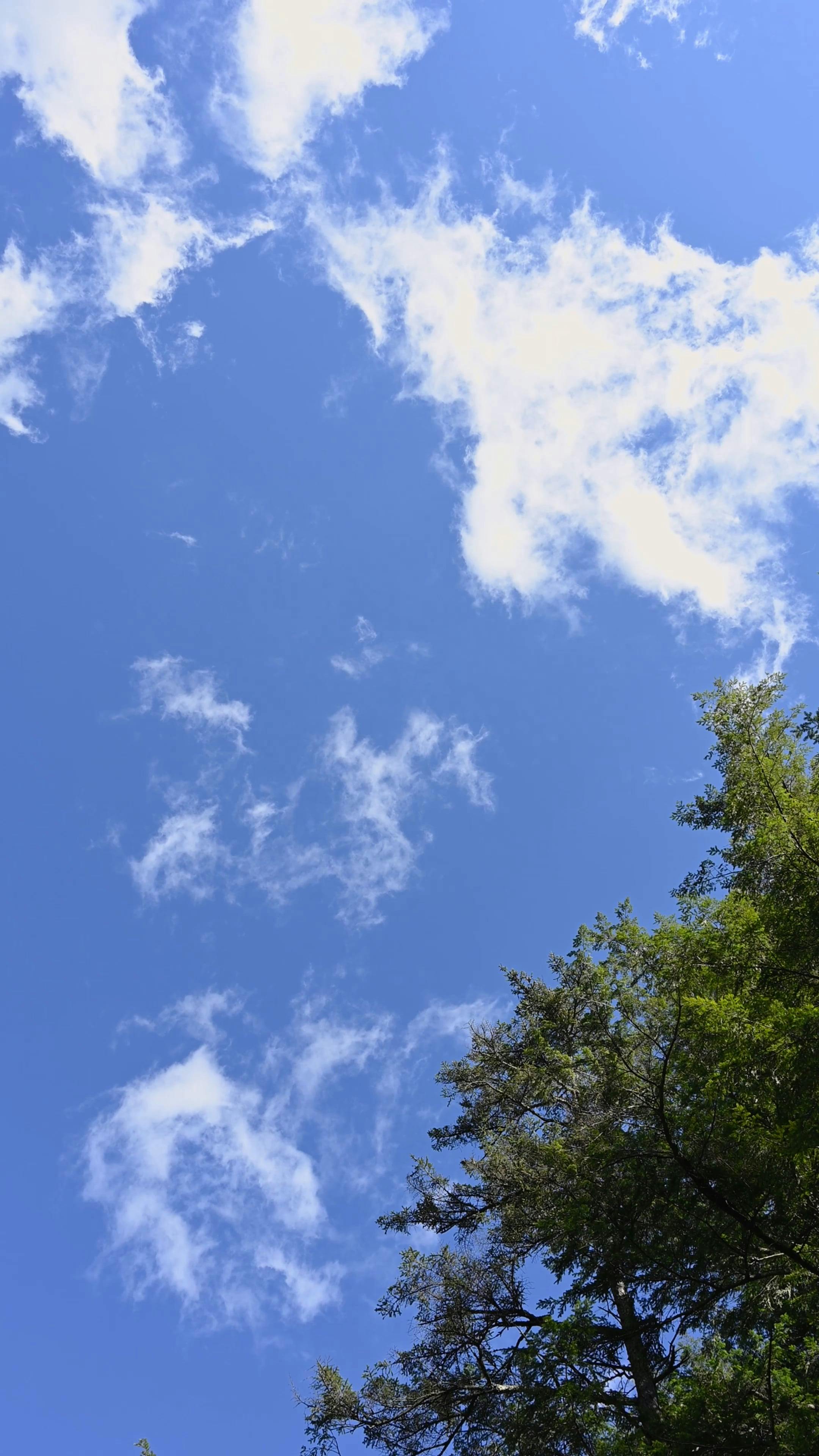 Low Angle Shot of a Sky Free Stock Video Footage, Royalty-Free 4K & HD ...