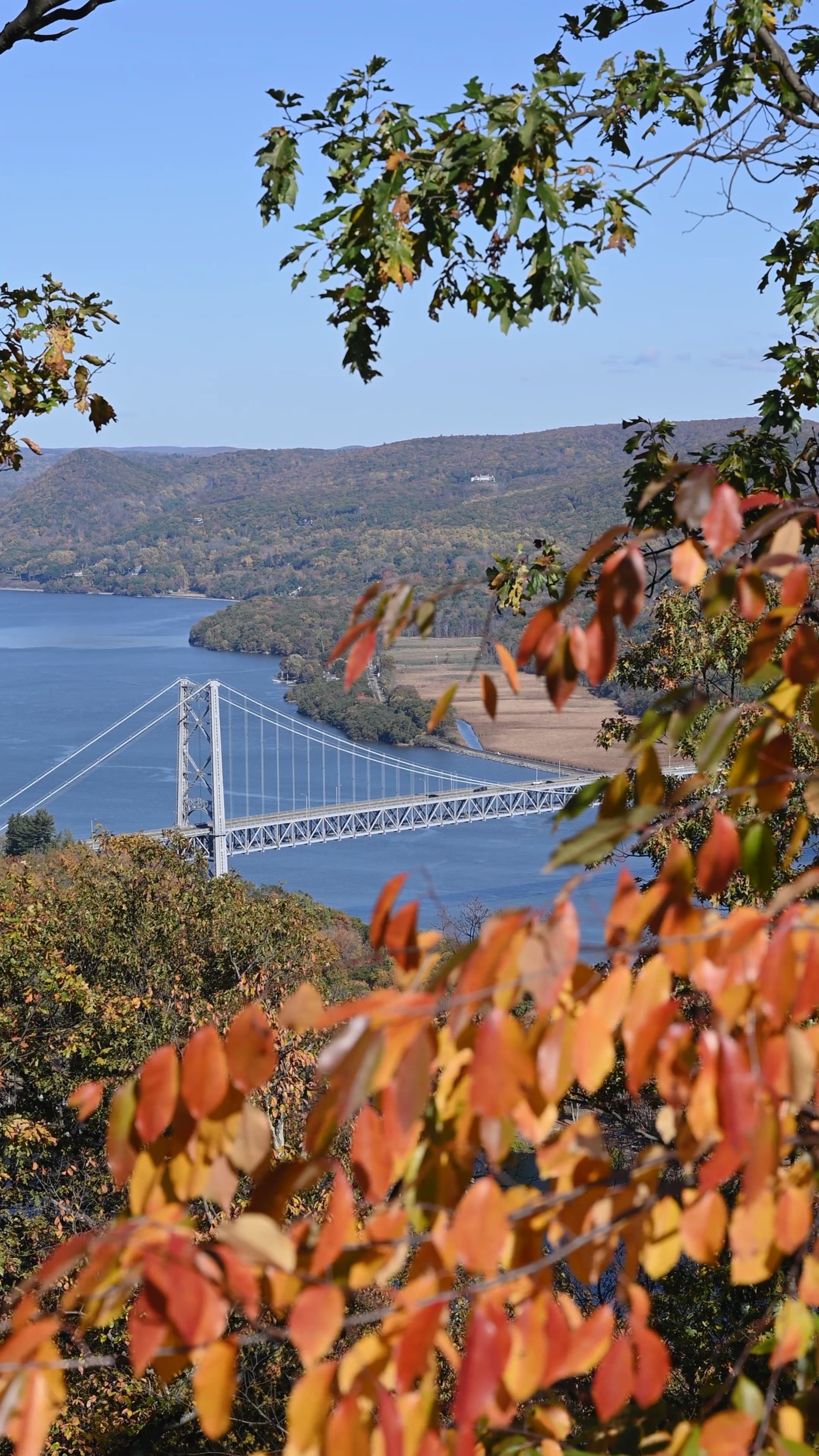 A Long Shot of a Bridge Free Stock Video Footage, Royalty-Free 4K & HD ...