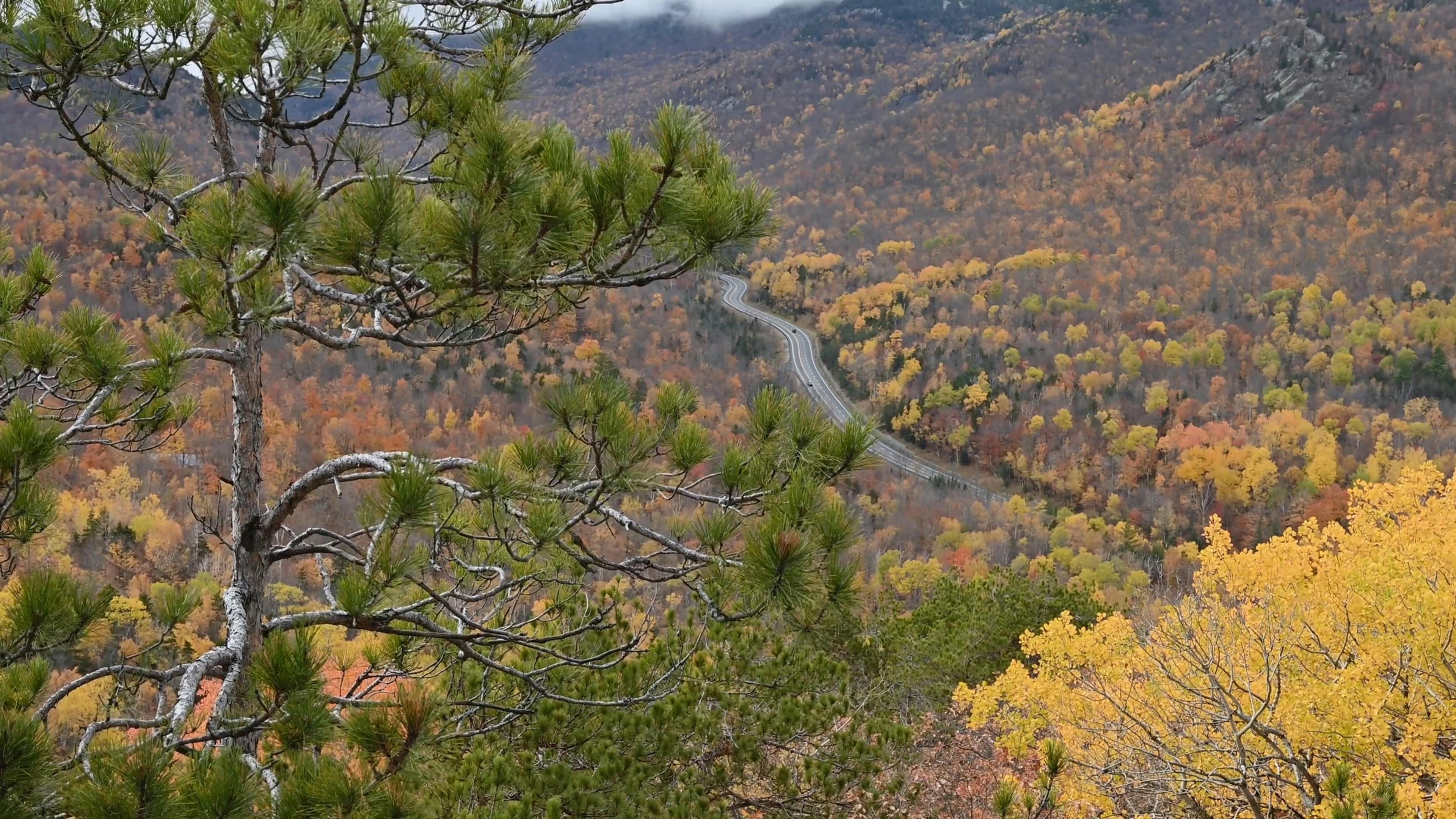 High Angle Shot of a Landscape Free Stock Video Footage, Royalty-Free ...