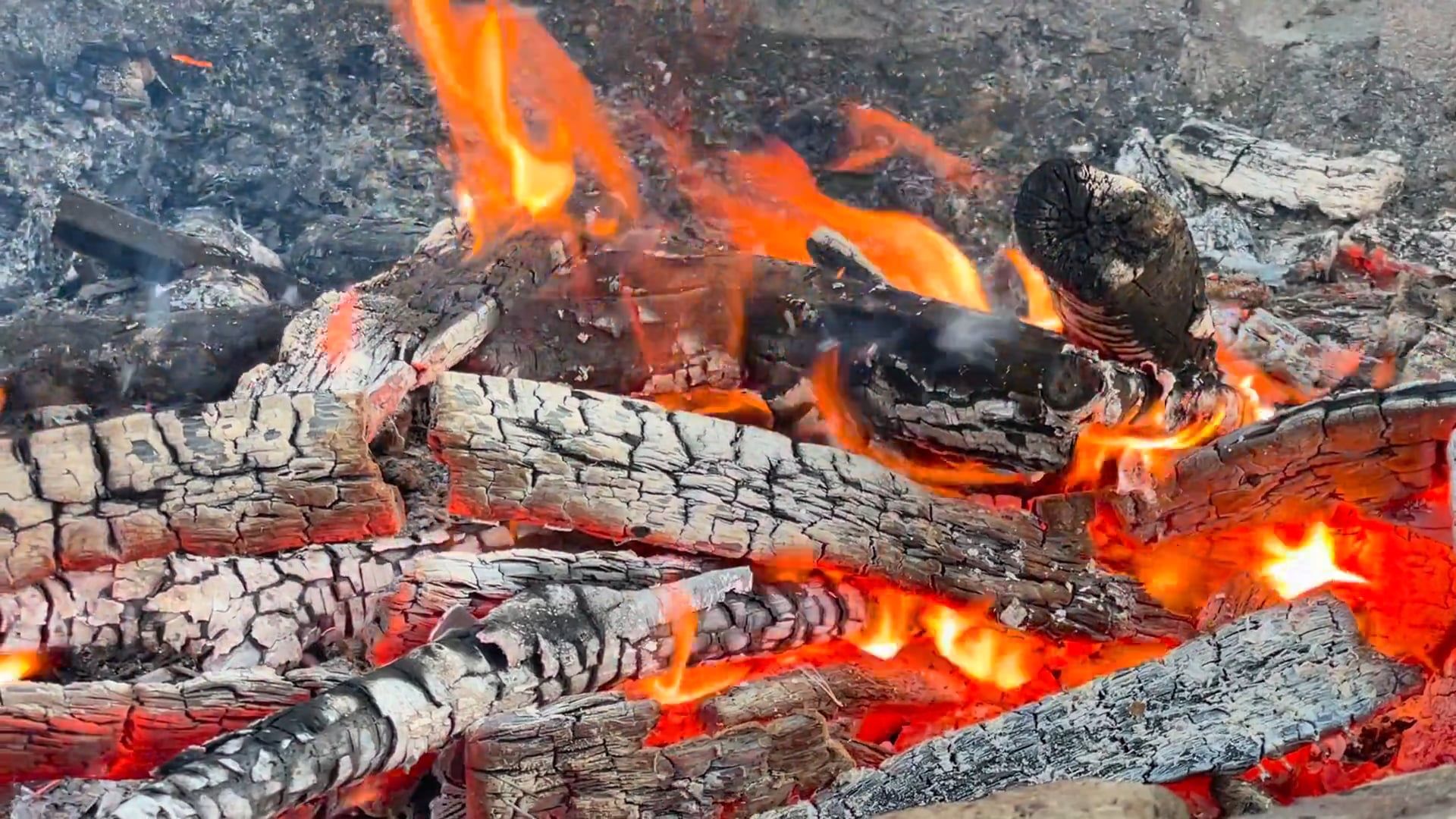 Burning Logs of Wood Close up · Free Stock Video