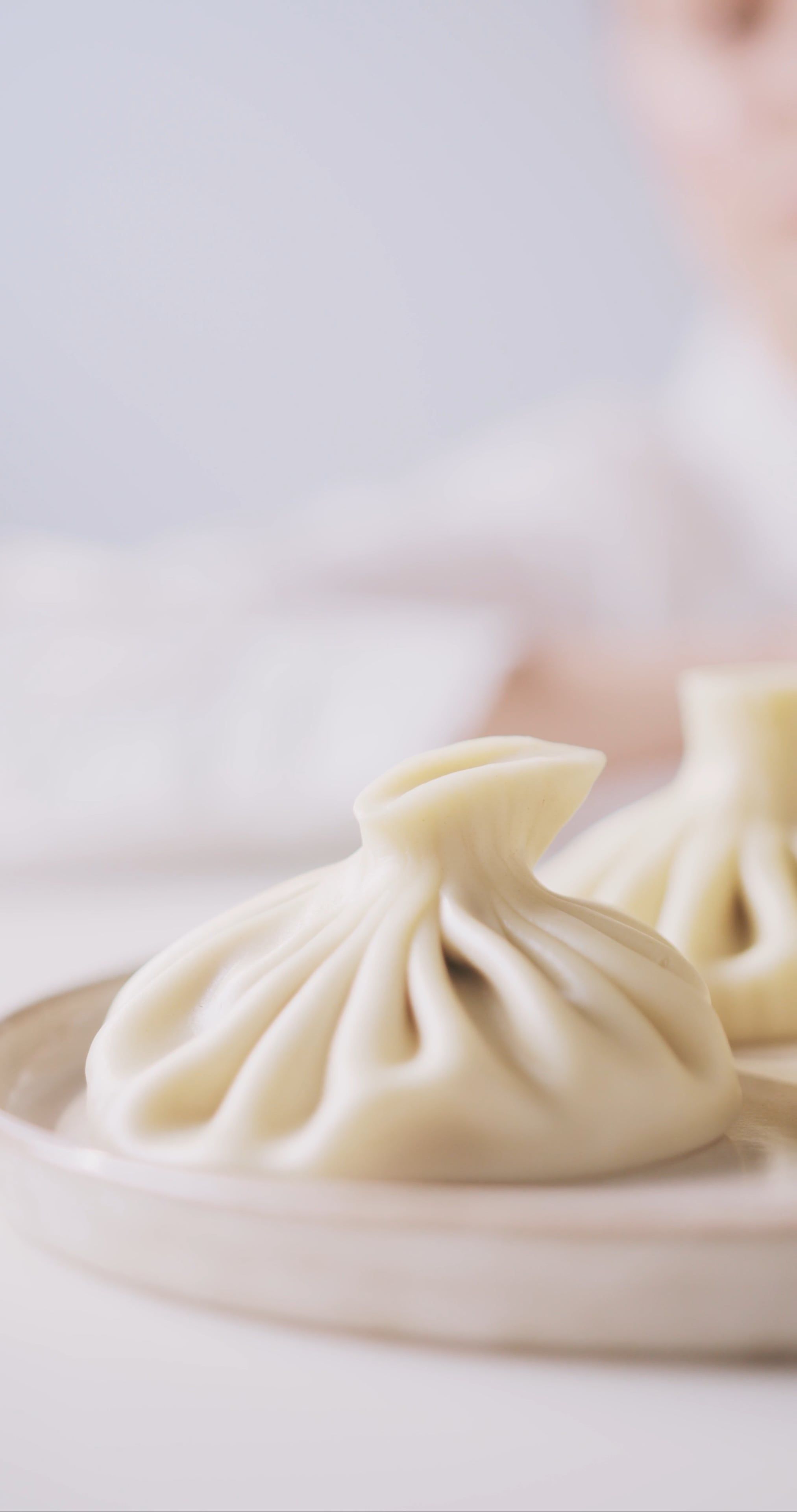 Close Up Shot of a Person Holding the Dumplings · Free Stock Video