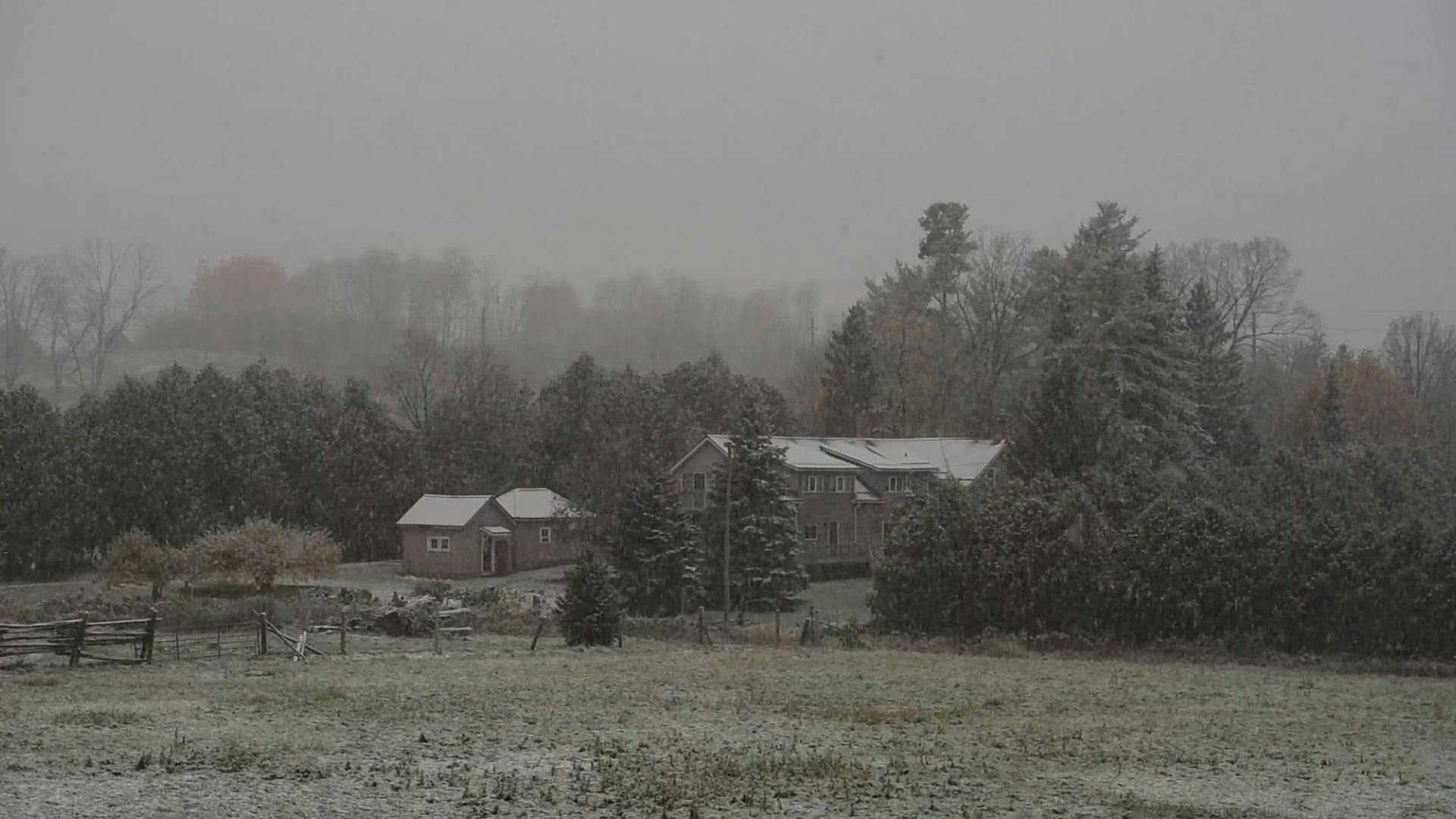 Trees and House with Raining Snowing Free Stock Video Footage, Royalty ...