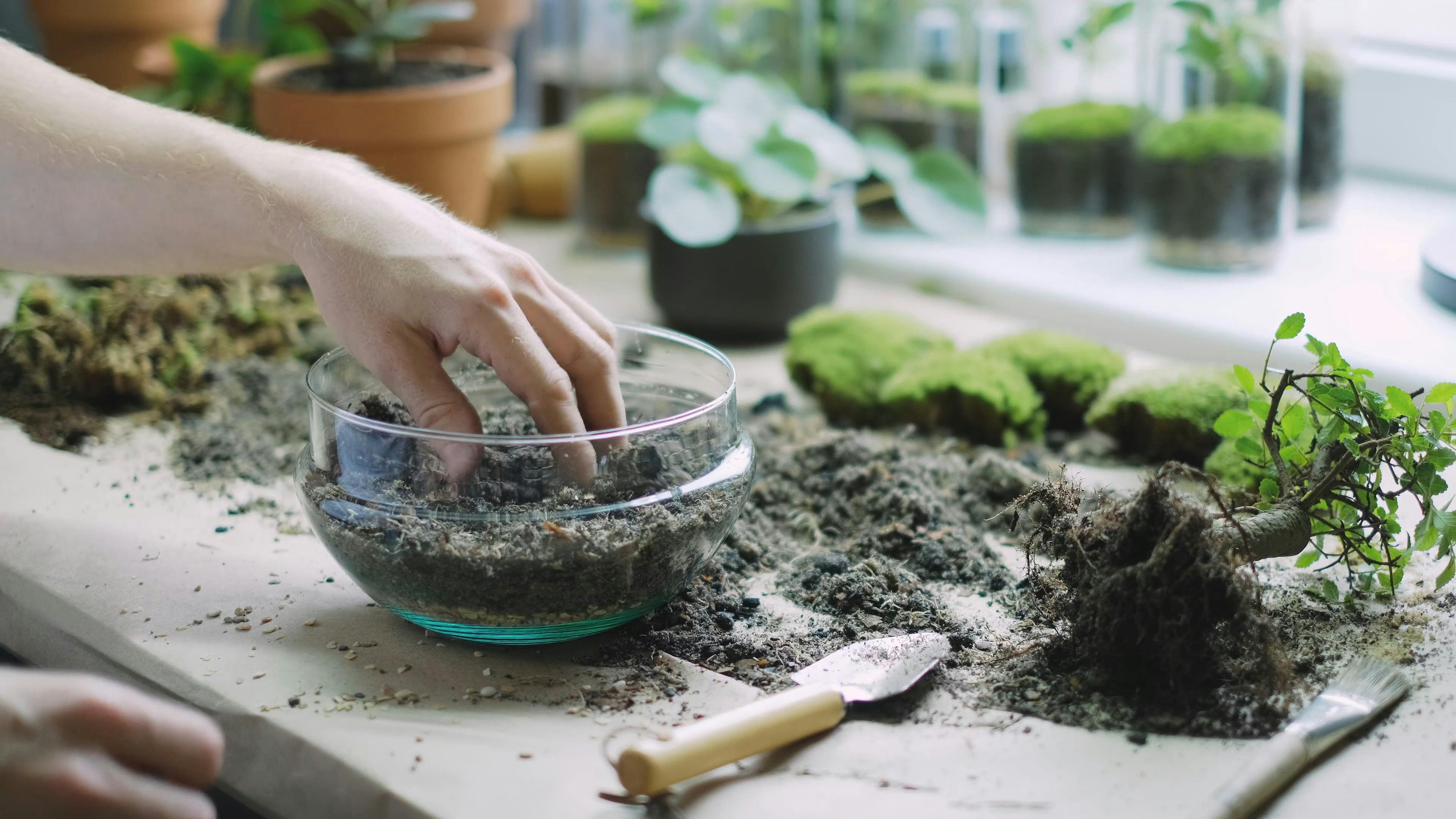 Soil Plant Maintenance Videos, Download The BEST Free 4k Stock Video ...