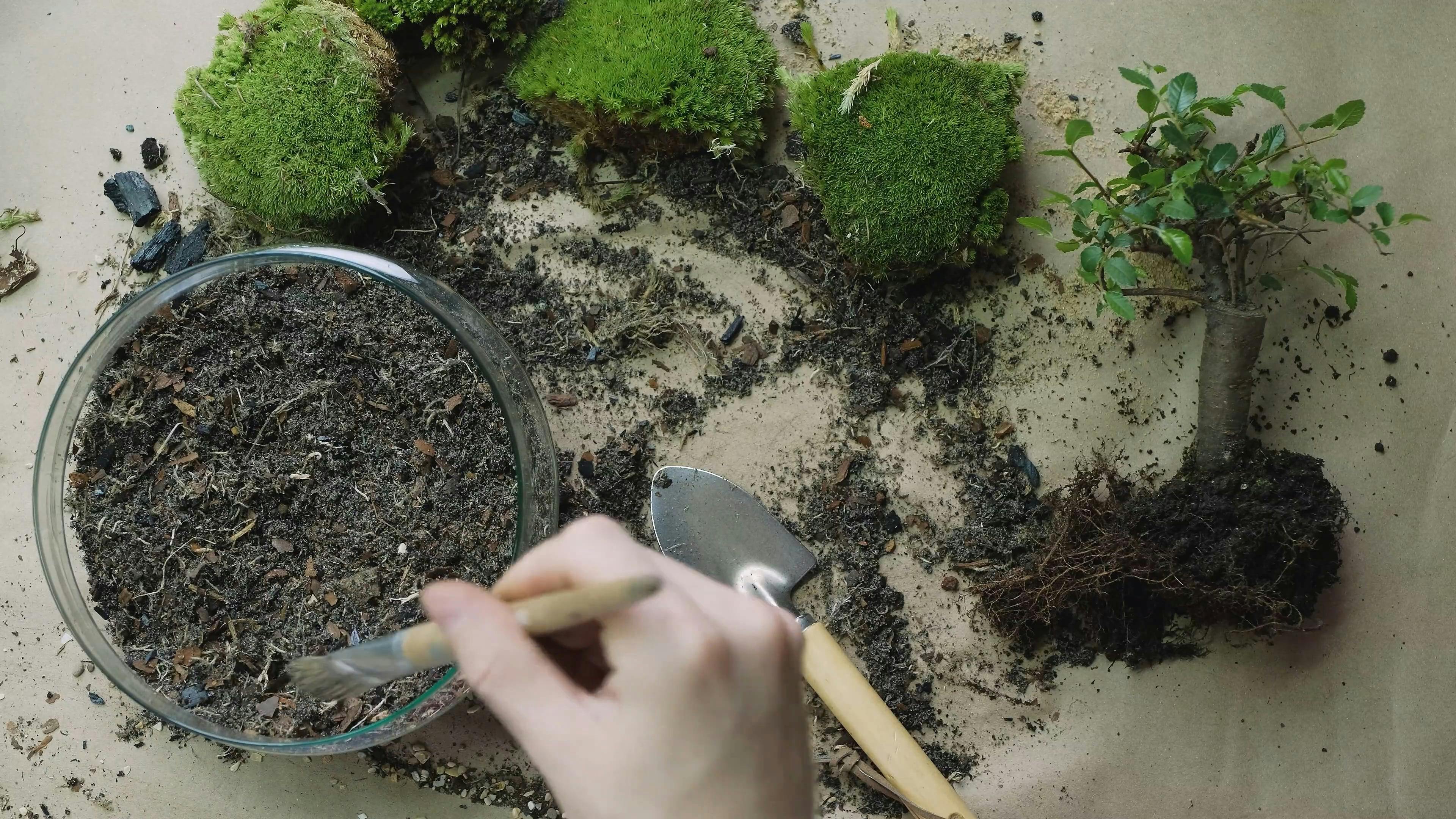 Soil Mix Videos, Download The BEST Free 4k Stock Video Footage & Soil Mix HD Video Clips