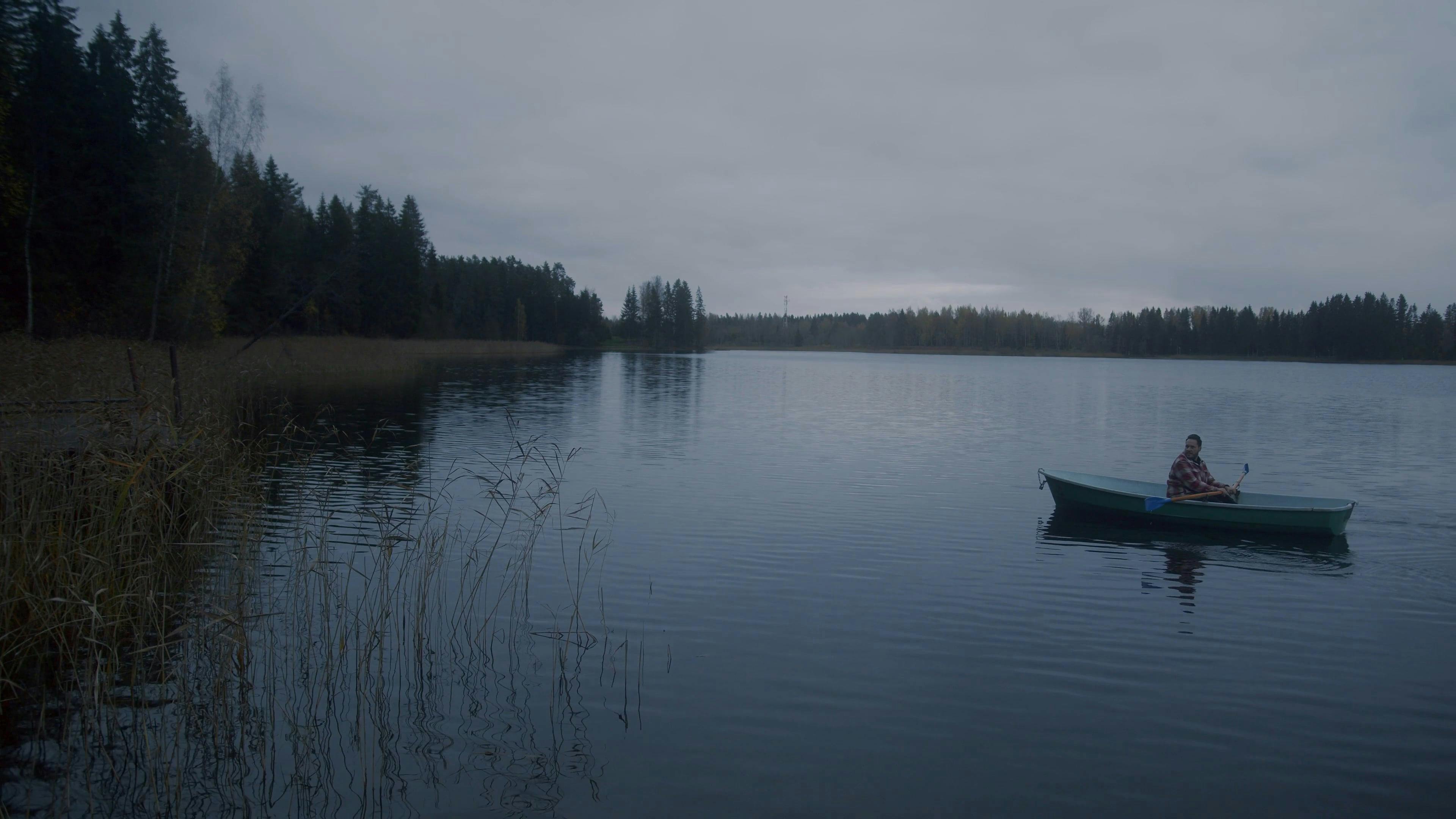 Man Rowing Boat in Forest Lake · Free Stock Video