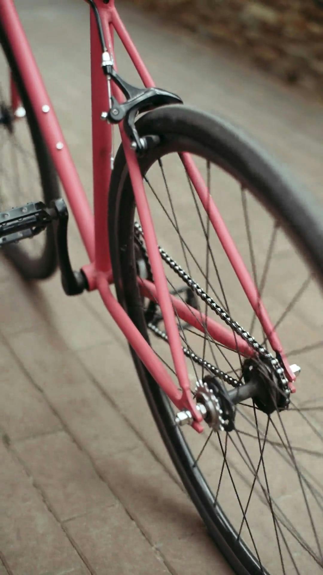 10,000+个最精彩的“Anime Fixie”视频 · 100%免费下载 · Pexels素材视频