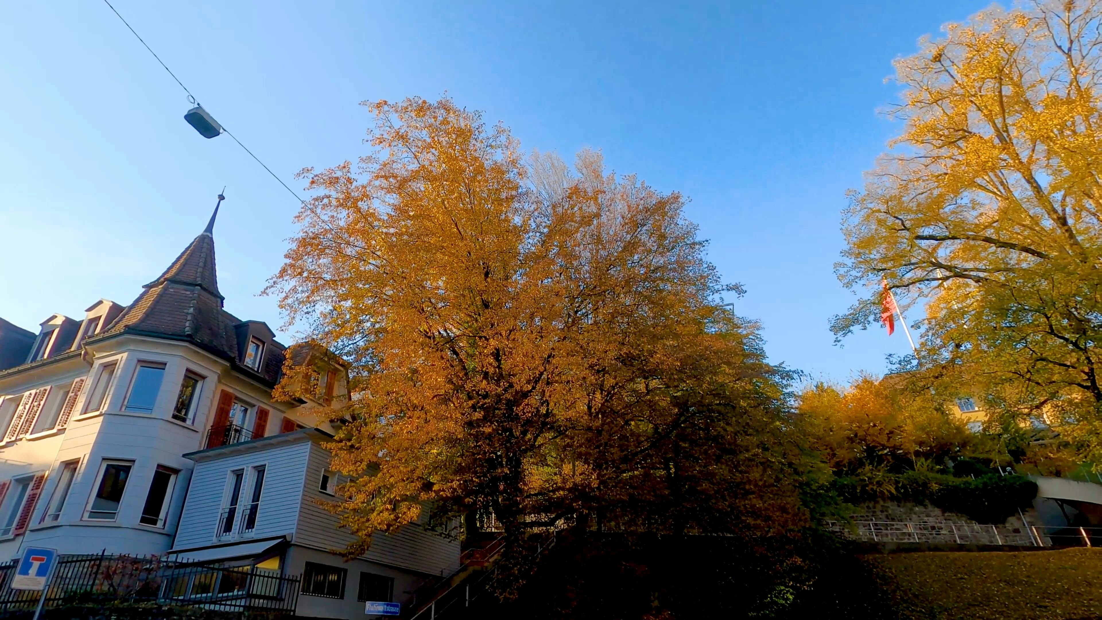 4k Wallpaper Set Videos, Download The BEST Free 4k Stock Video Footage ...