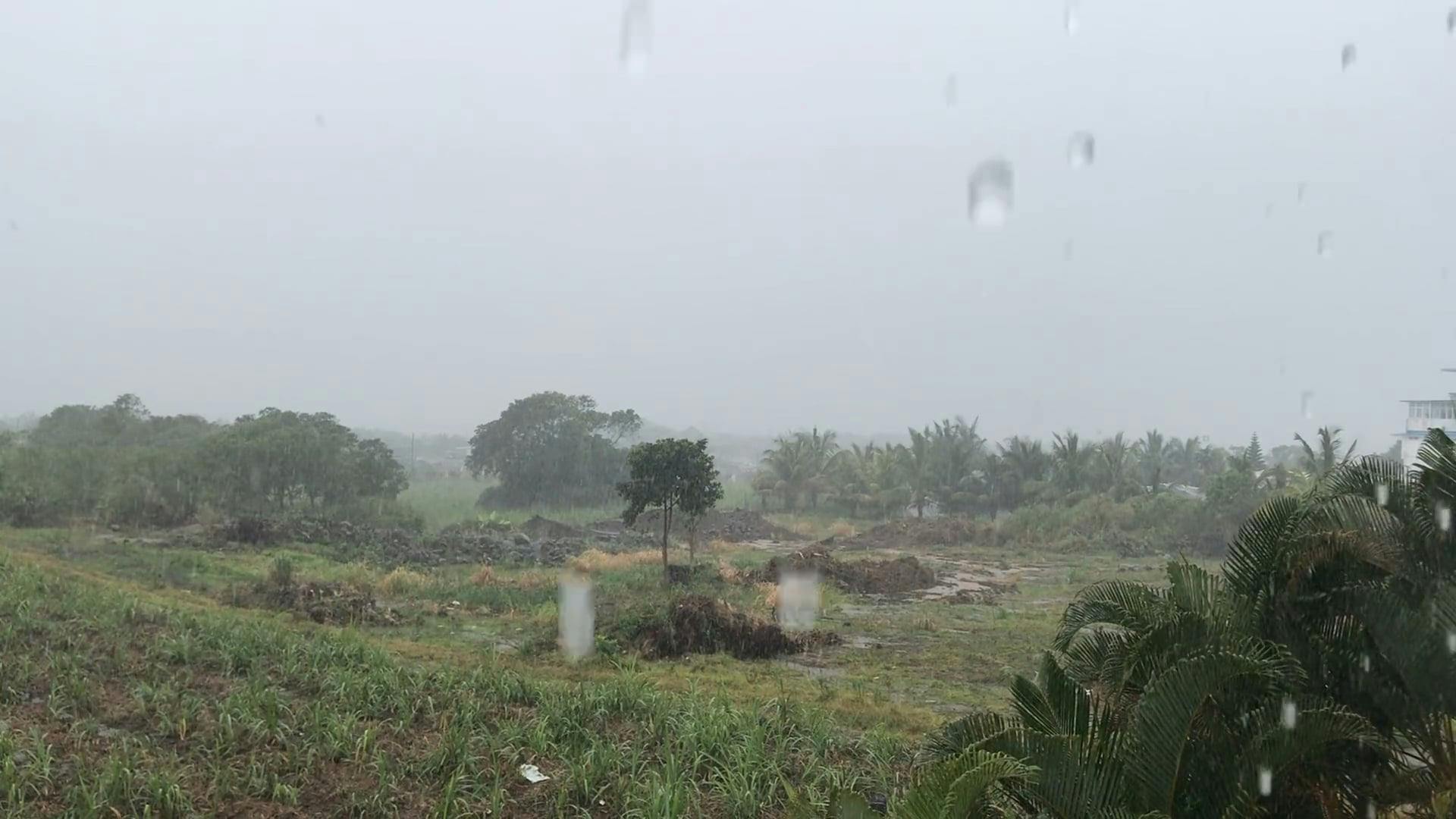 Heavy Rain Pouring in an Open Field · Free Stock Video