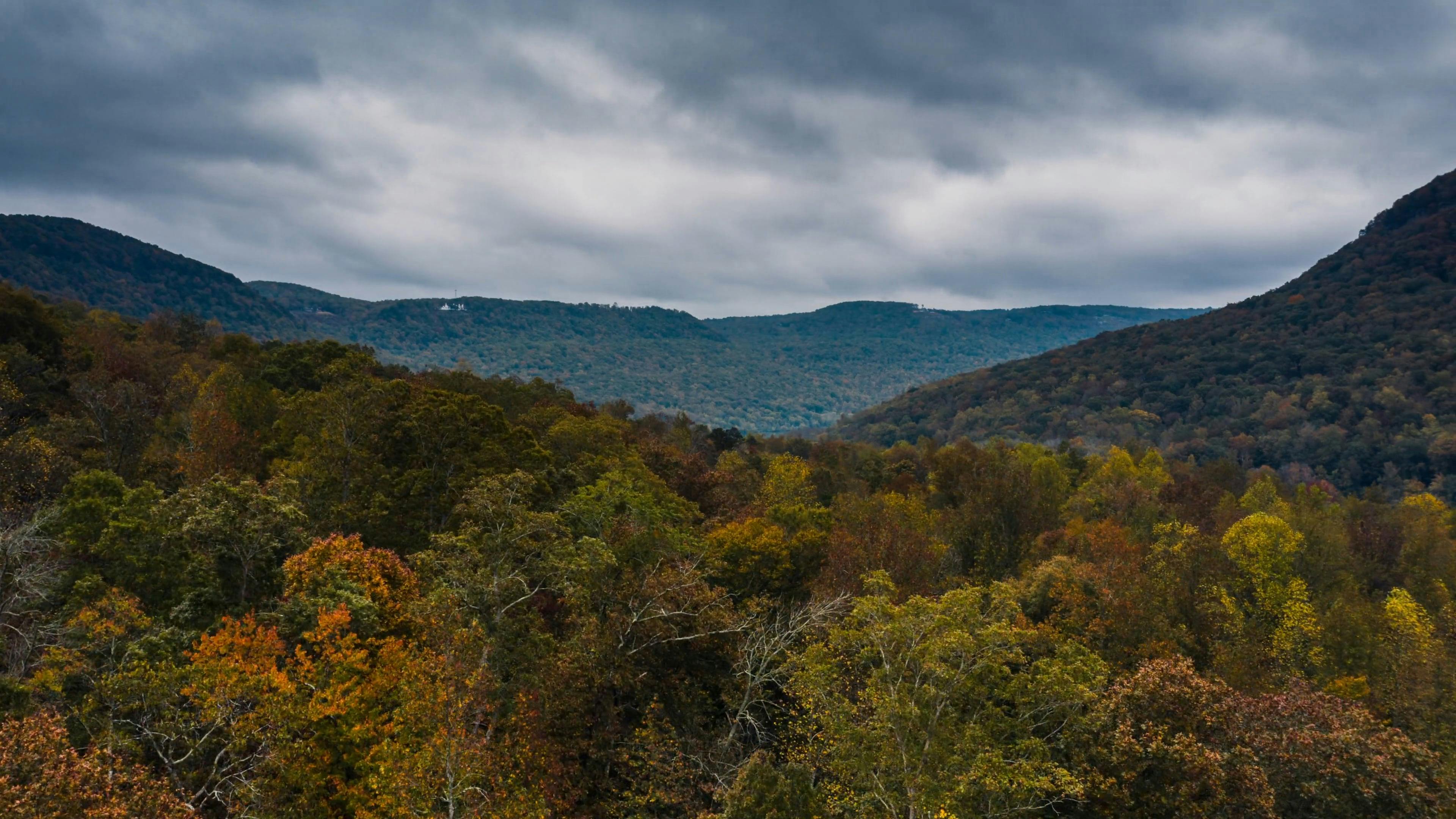 Aerial View of a Mountain Forest · Free Stock Video