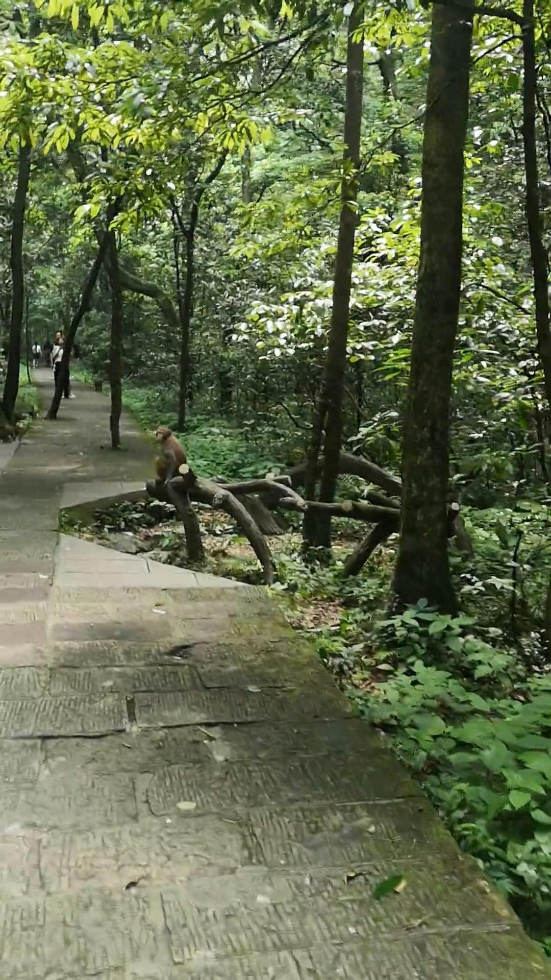 Reservation Animation Videos, Download The BEST Free 4k Stock Video ...