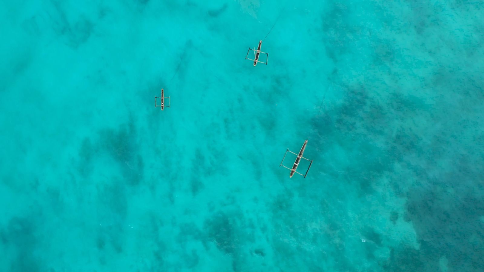 Ocean Videos 153 Photos & Videos Collected by Lisa from Pexels