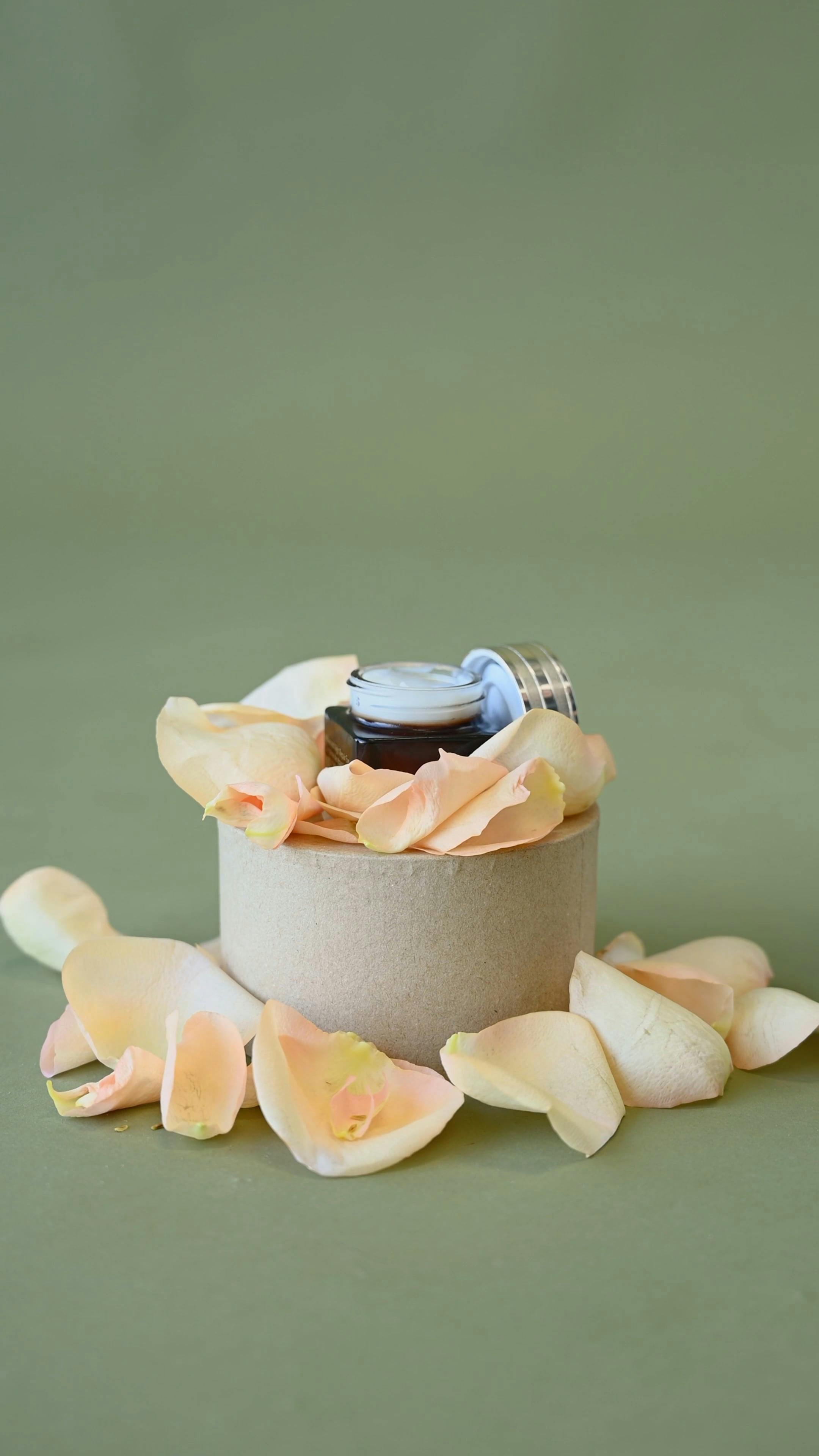 Pure Peach Background Videos, Download The BEST Free 4k Stock Video ...