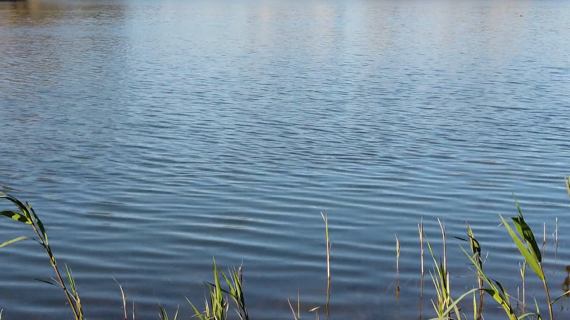 vid-o-gratuite-de-eau-espace-ext-rieur-tendue-d-eau