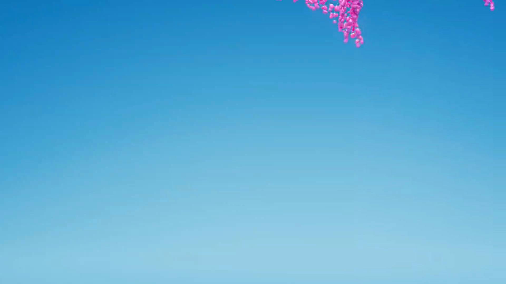 Digital Video of Colorful Balls Falling Down Free Stock Video Footage ...