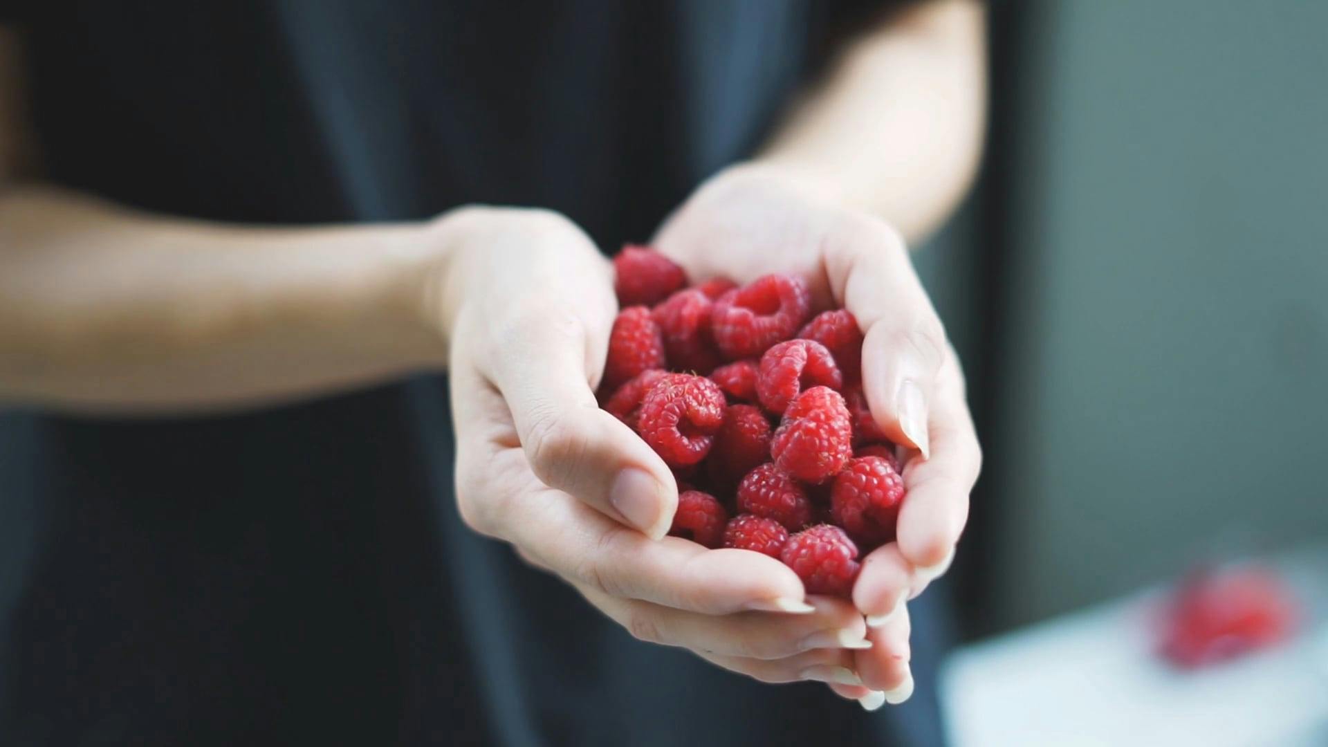 Hands Holding Fresh Raspberries Free Stock Video Footage, Royalty-Free ...