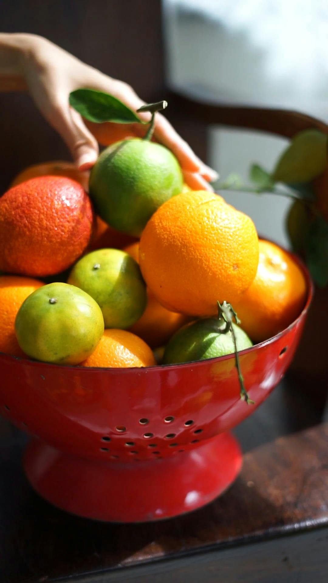 Citrus Collection Videos, Download The BEST Free 4k Stock Video Footage ...