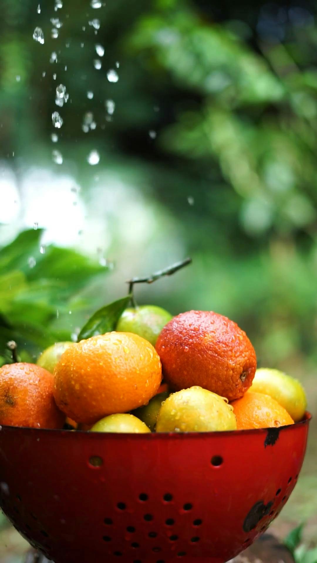 Food Rain Videos, Download The BEST Free 4k Stock Video Footage & Food ...