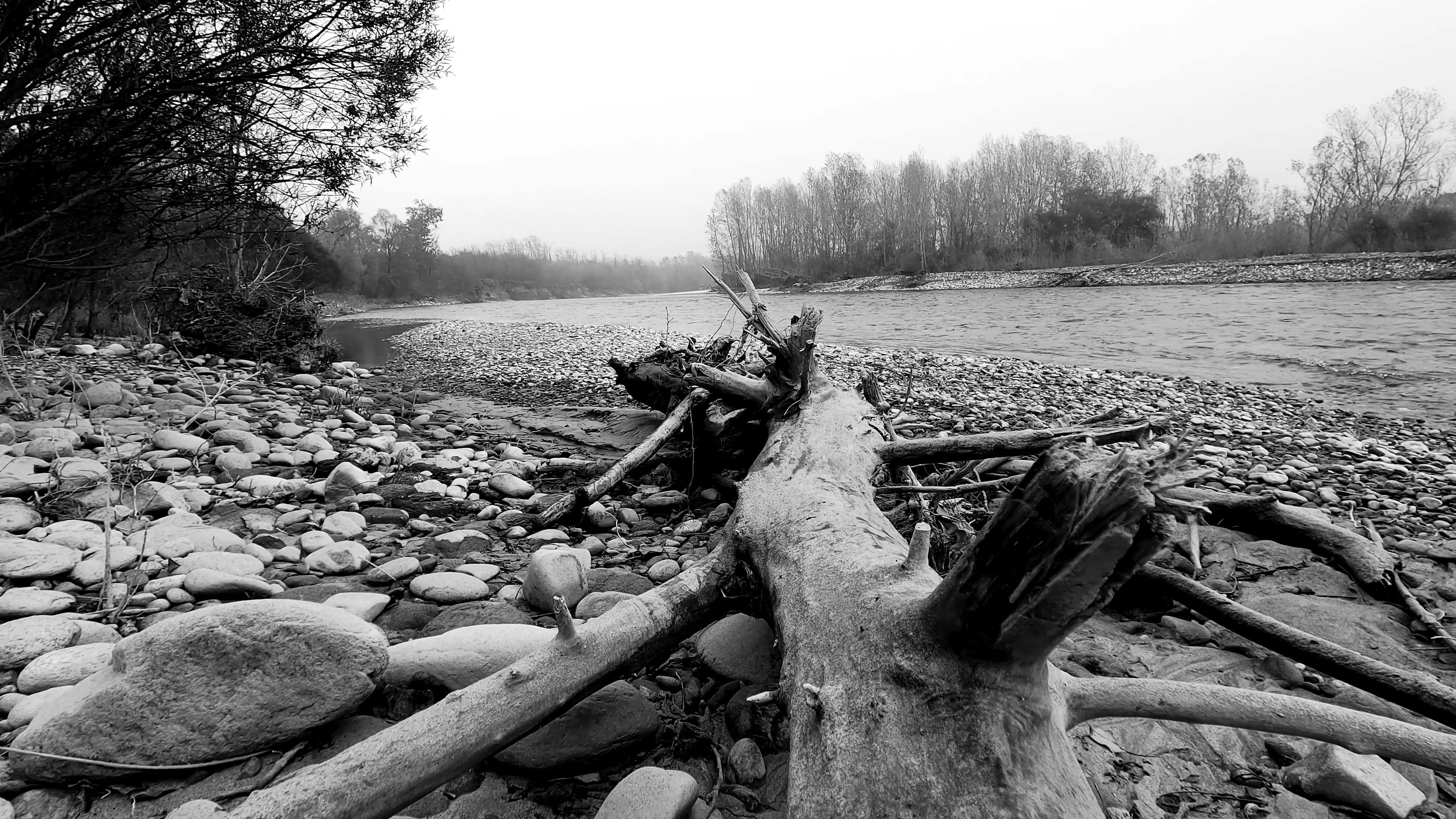 Log Video Videos, Download The BEST Free 4k Stock Video Footage & Log ...