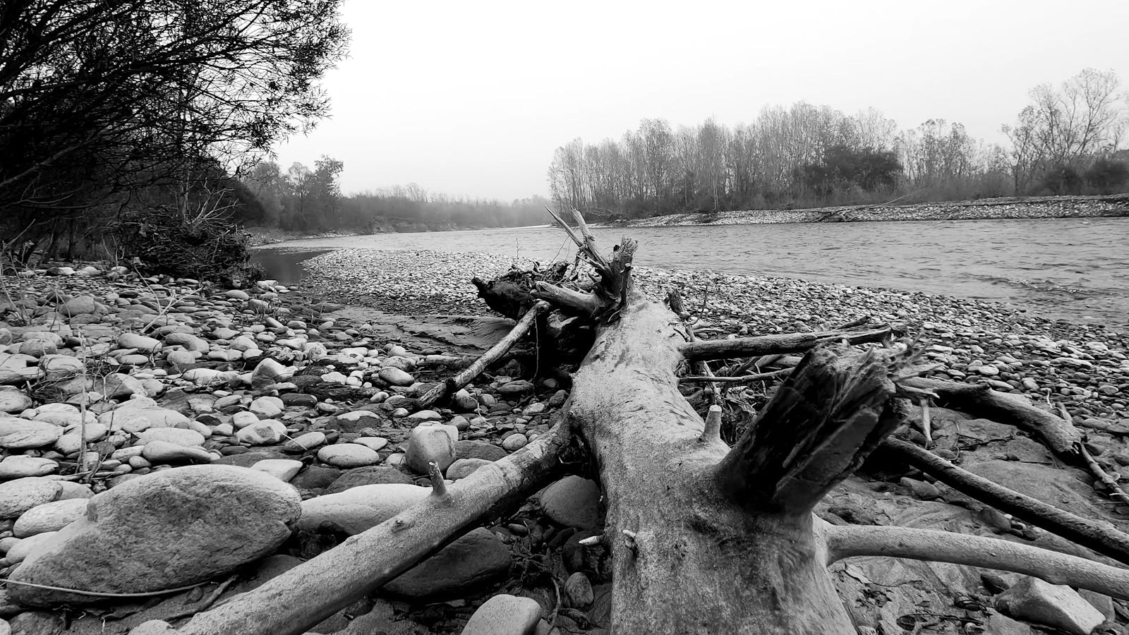 Log Video Videos, Download The BEST Free 4k Stock Video Footage & Log ...