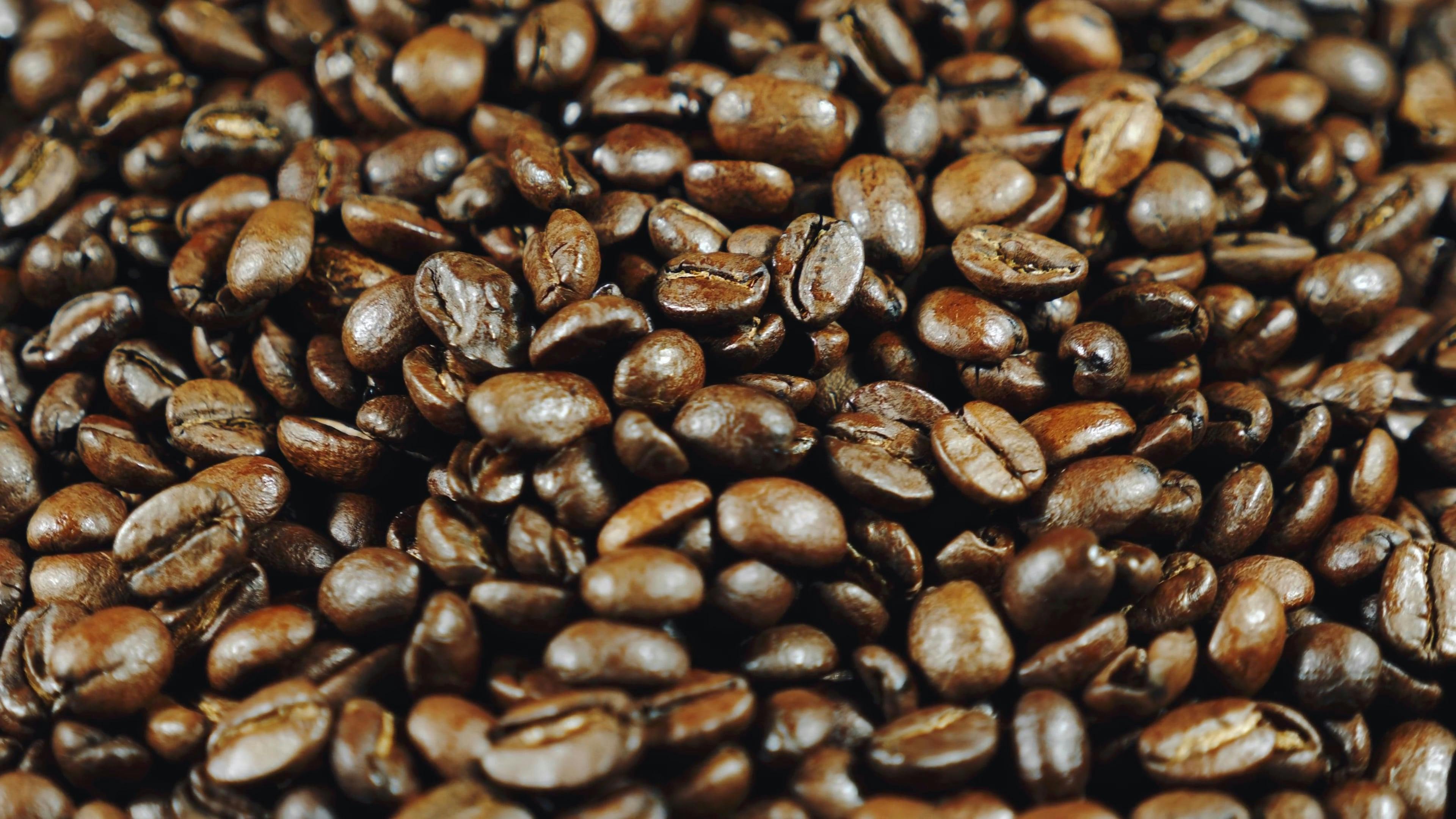 Freshly Roasted Coffee Beans · Free Stock Video