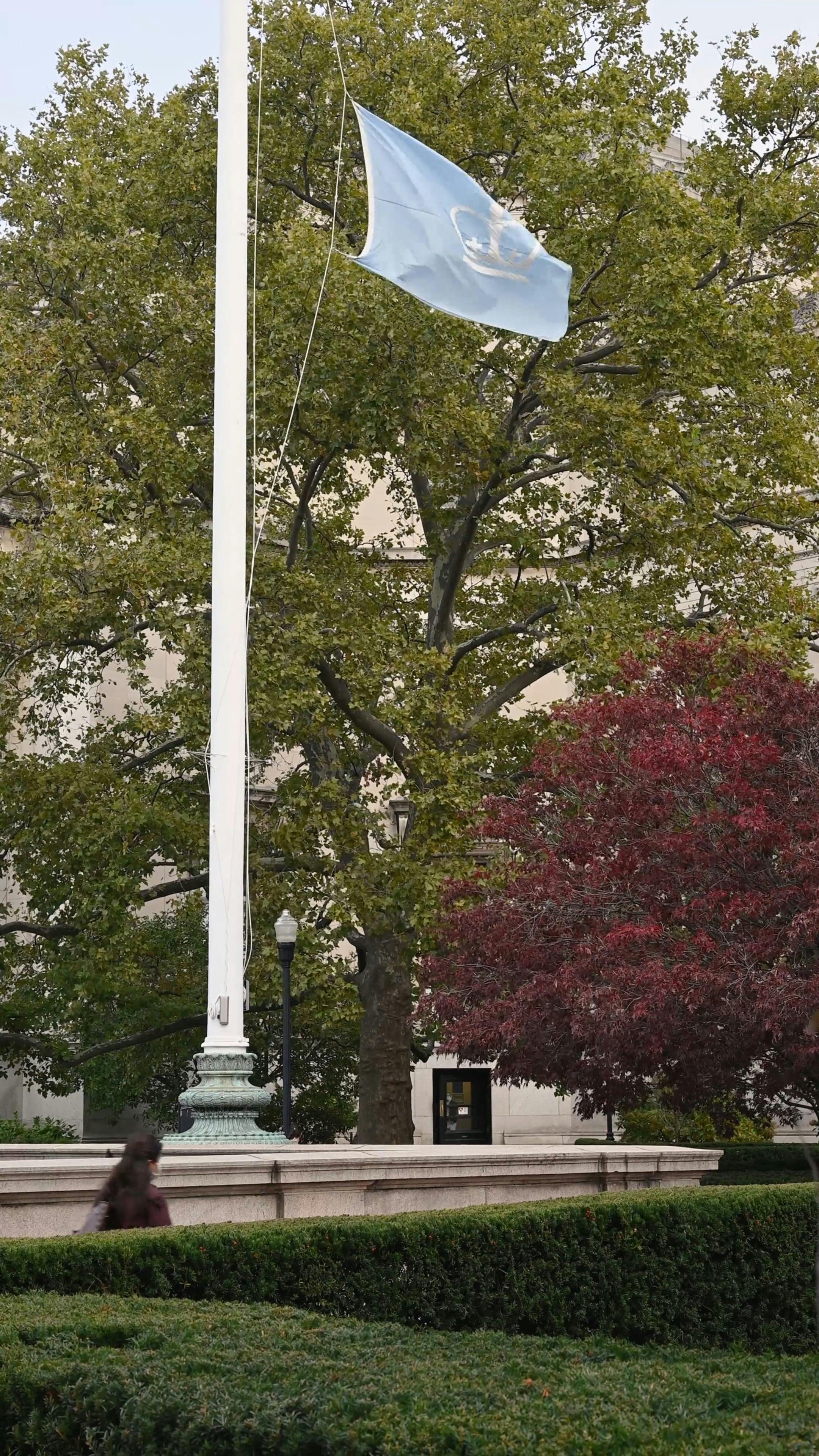A Flag Raised on a Flagpole · Free Stock Video