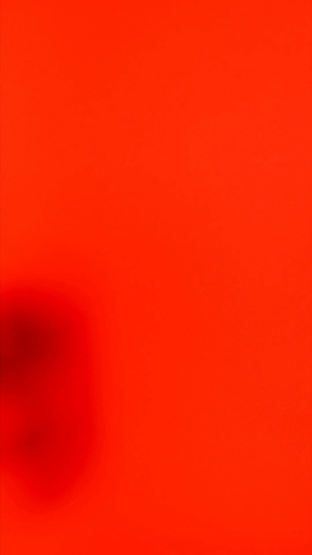 A Message "Scam Alert" on Red Surface Free Stock Video Footage, Royalty ...