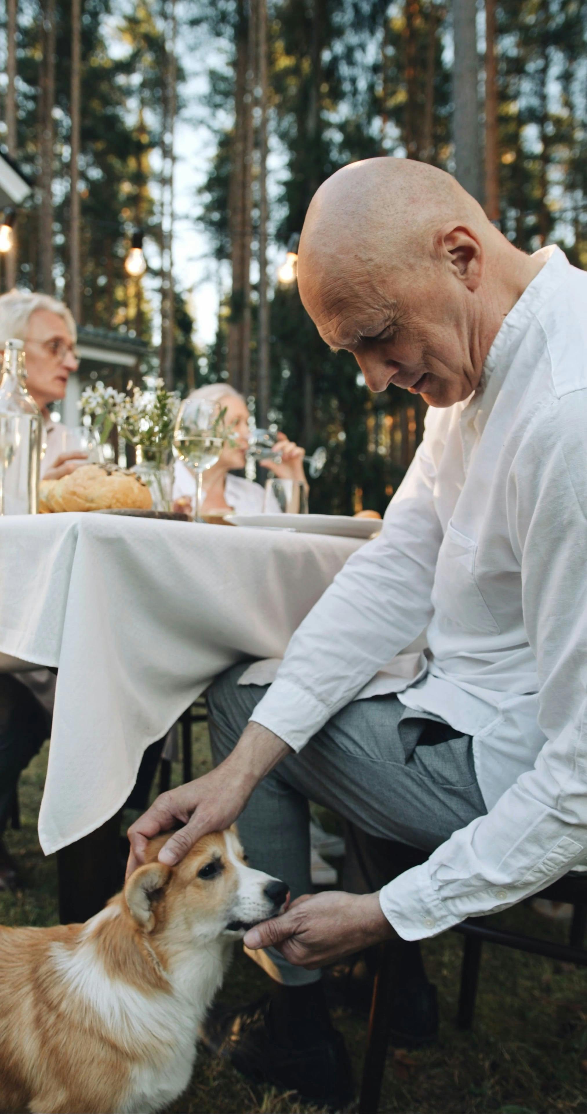 Catering Animated Videos, Download The BEST Free 4k Stock Video Footage ...