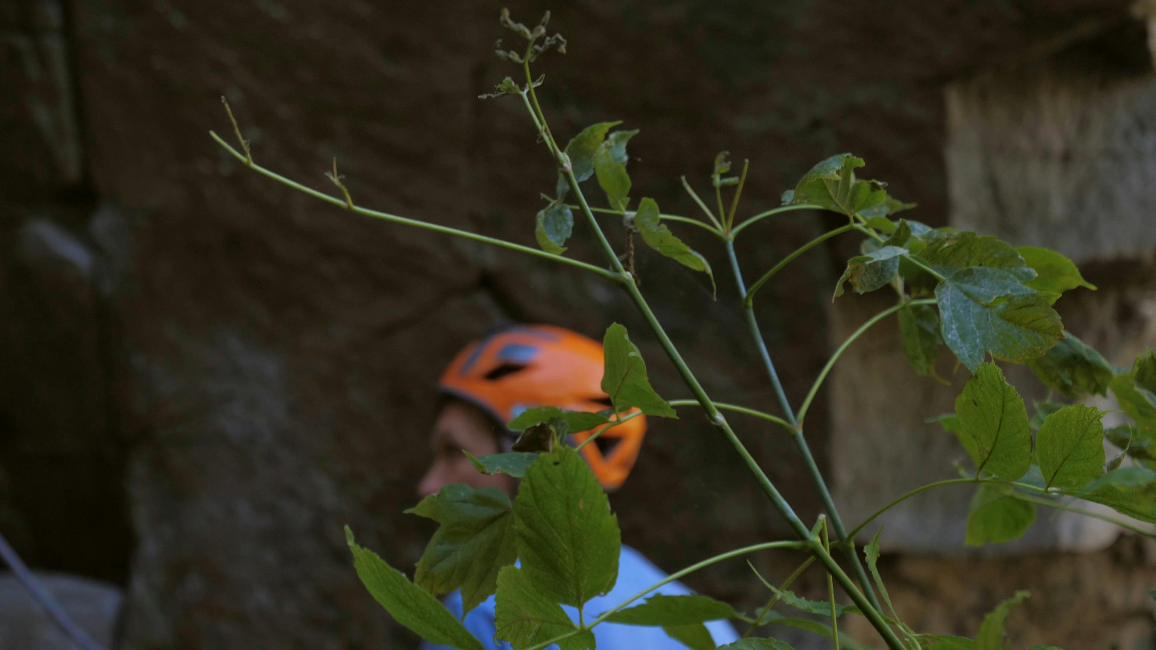 Strong Man Pulling Semi Videos, Download The BEST Free 4k Stock Video ...