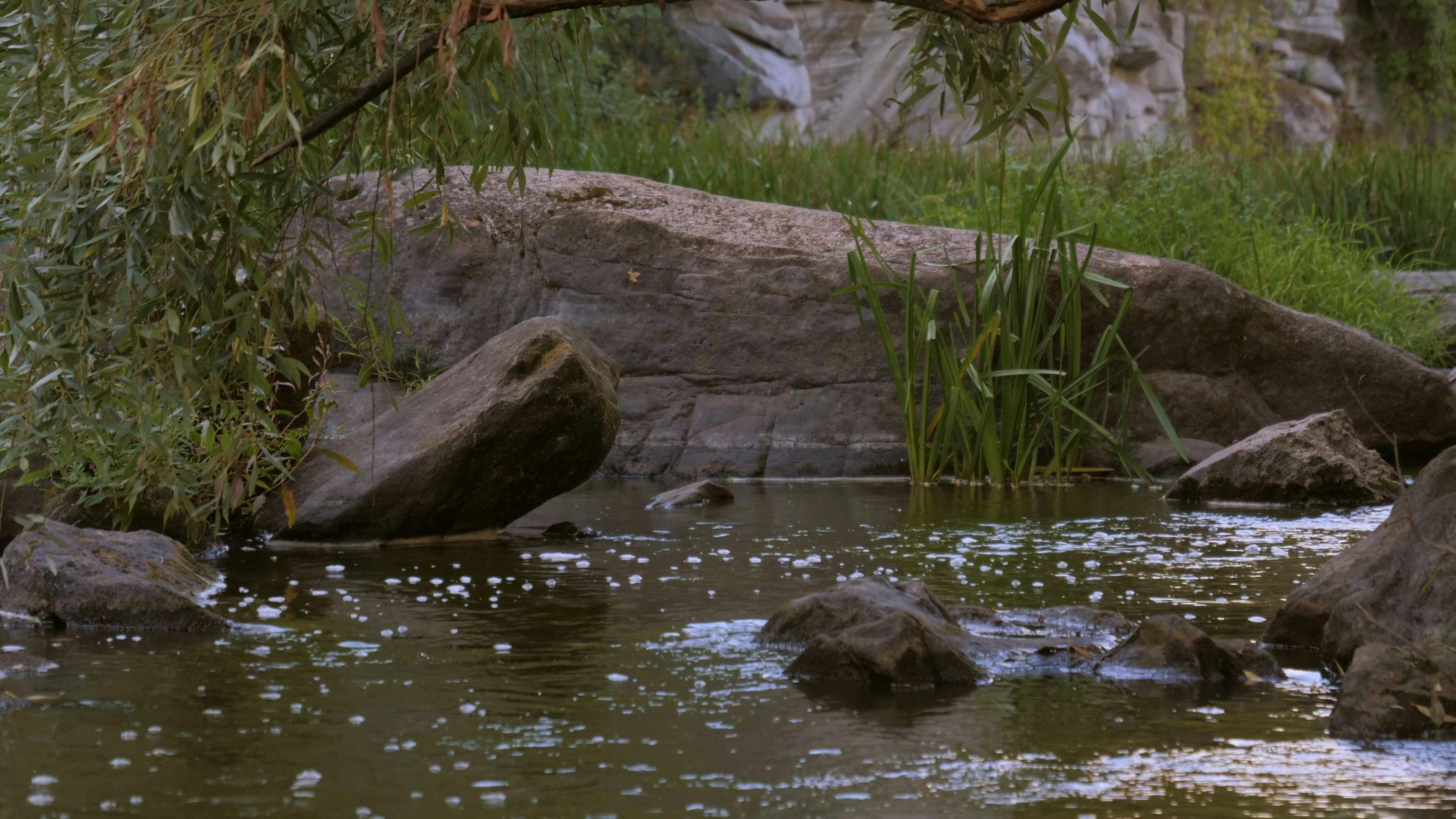 Low Angle Shot of a River Flowing · Free Stock Video