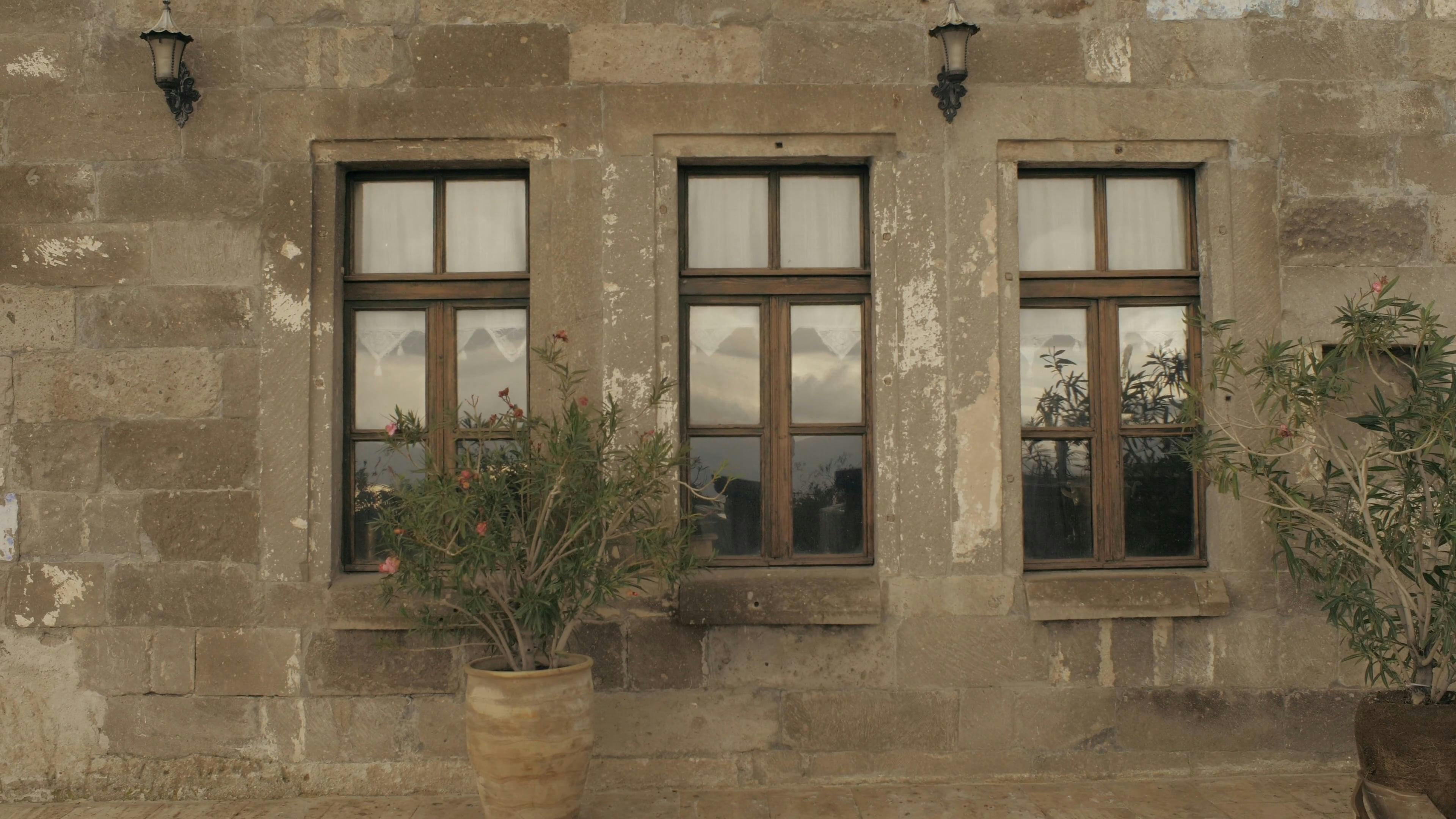 Old Style Window Flower Background Videos, Download The BEST Free 4k ...
