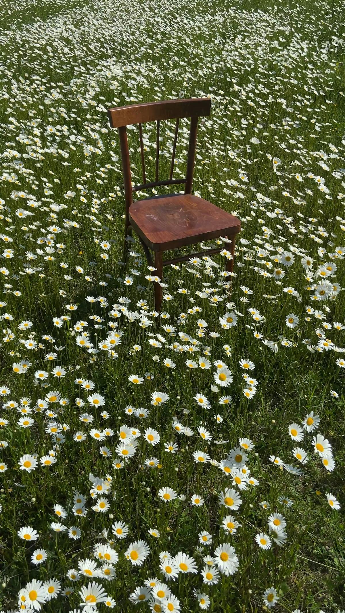 Simple Videos, Download The BEST Free 4k Stock Video Footage & Simple ...