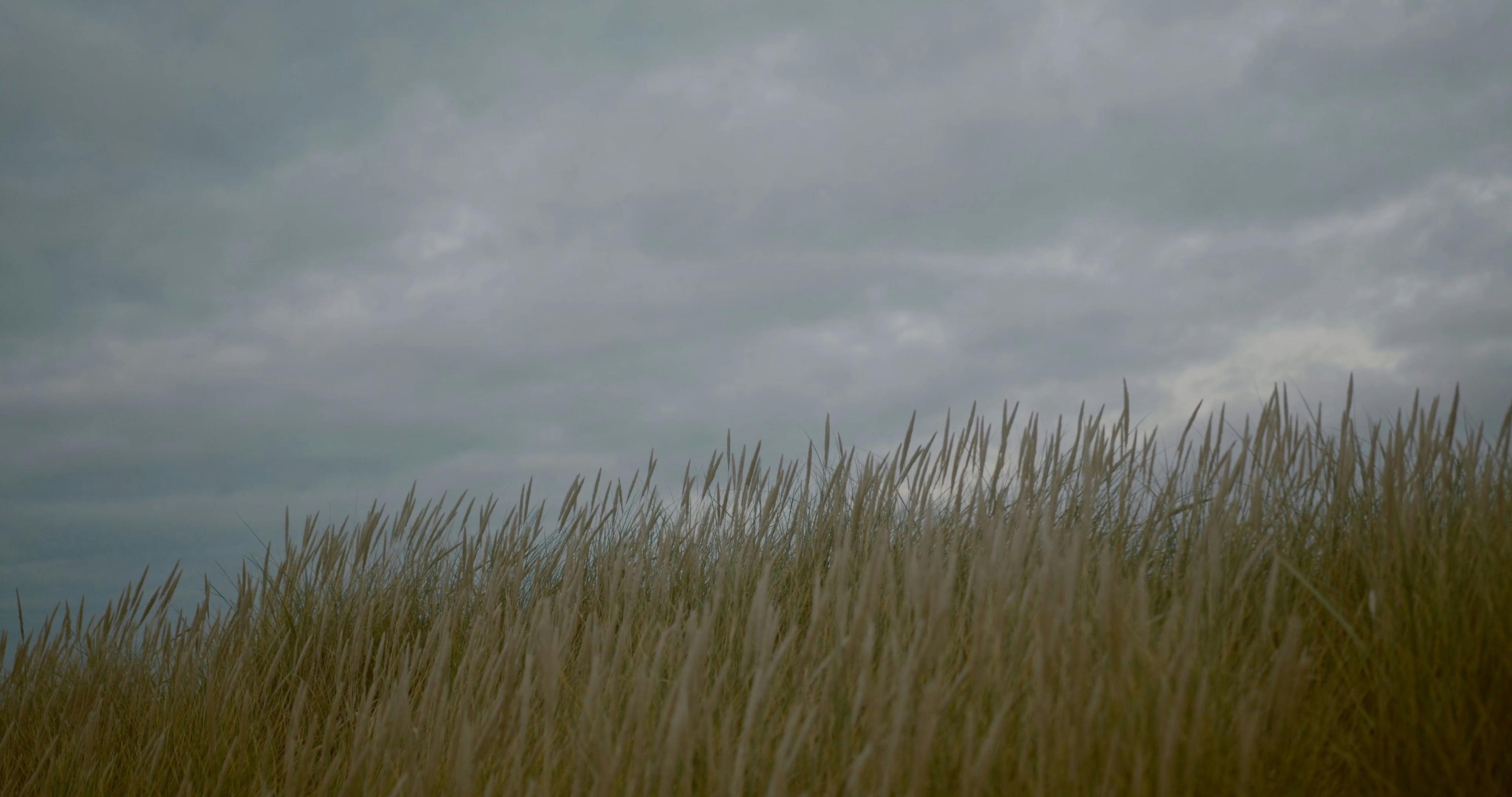 Motion In Nature Videos, Download The BEST Free 4k Stock Video Footage ...