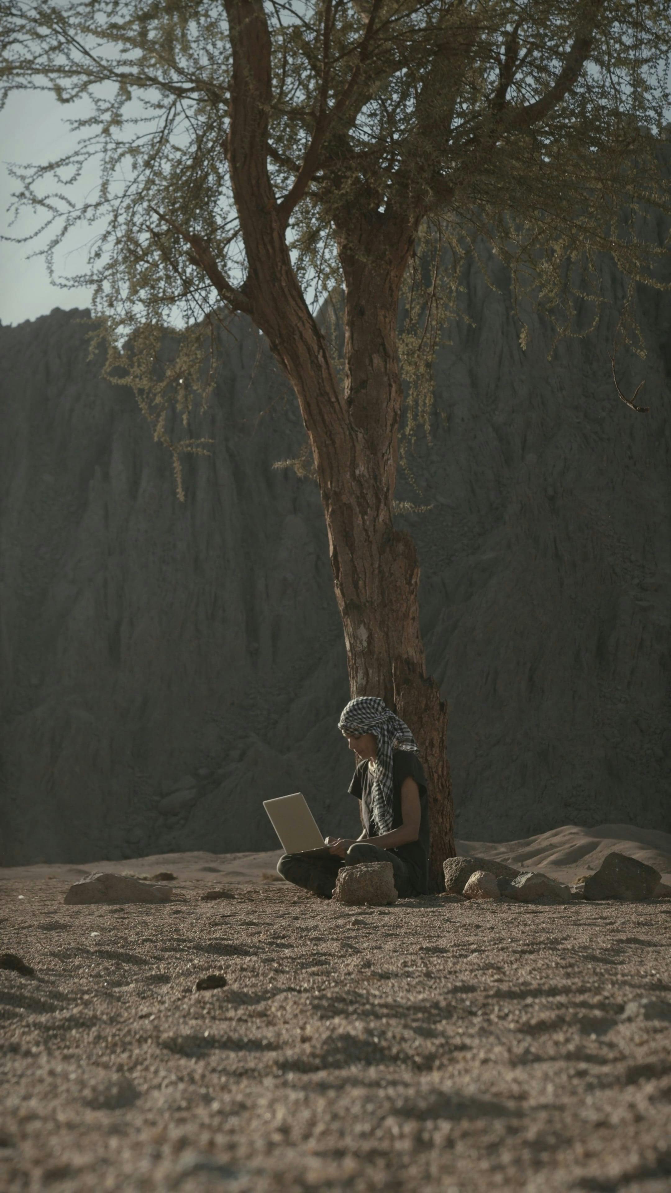 Digitally Tree Videos, Download The BEST Free 4k Stock Video Footage ...