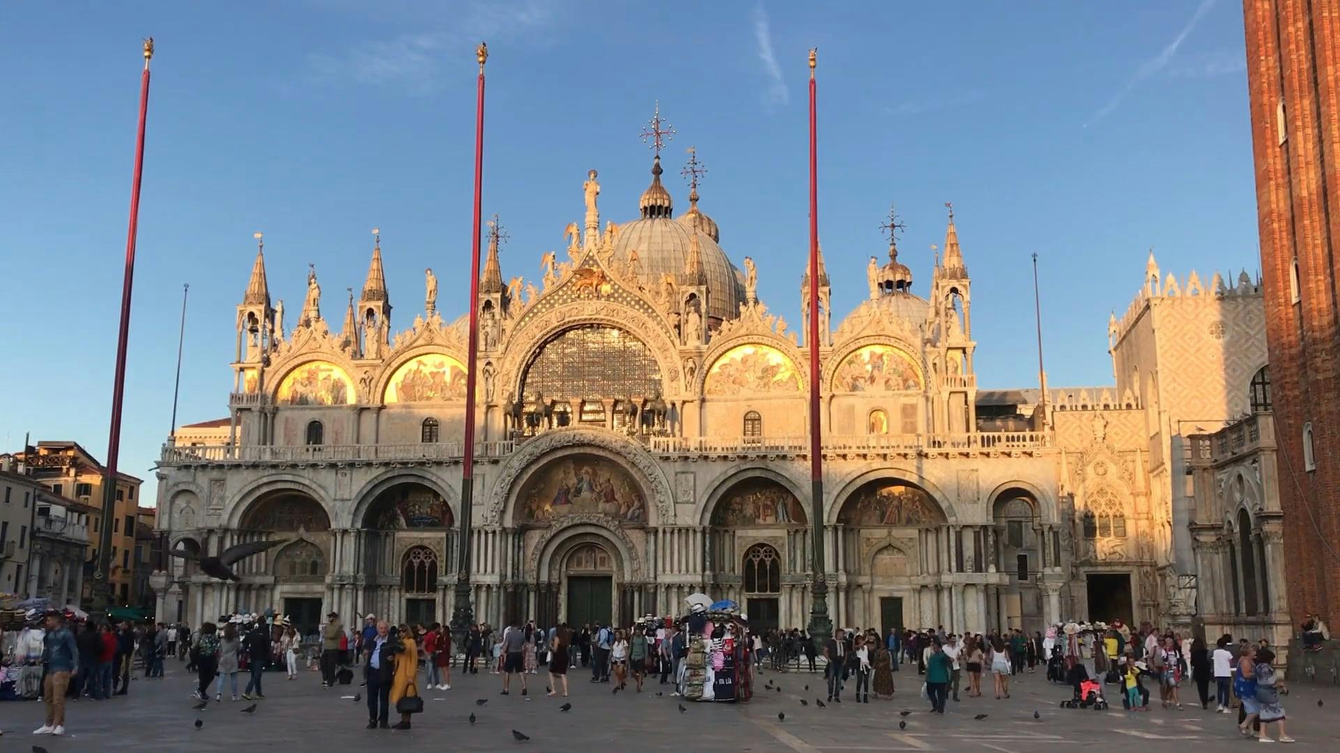 Marcos Videos, Download The BEST Free 4k Stock Video Footage & Marcos ...