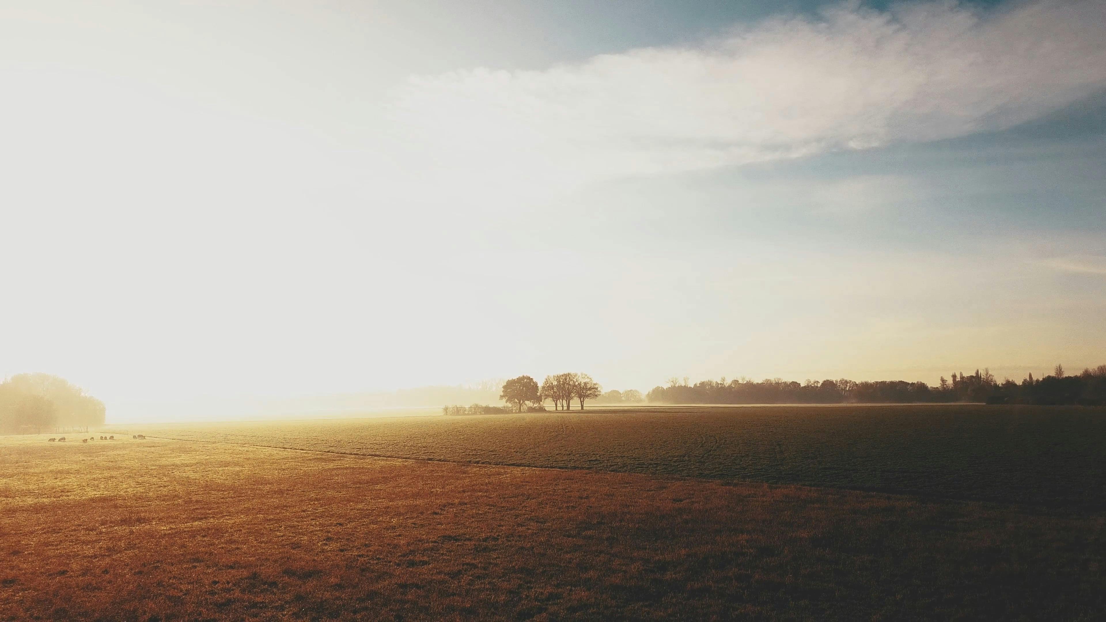 Drone Footage of Field During Daytime · Free Stock Video