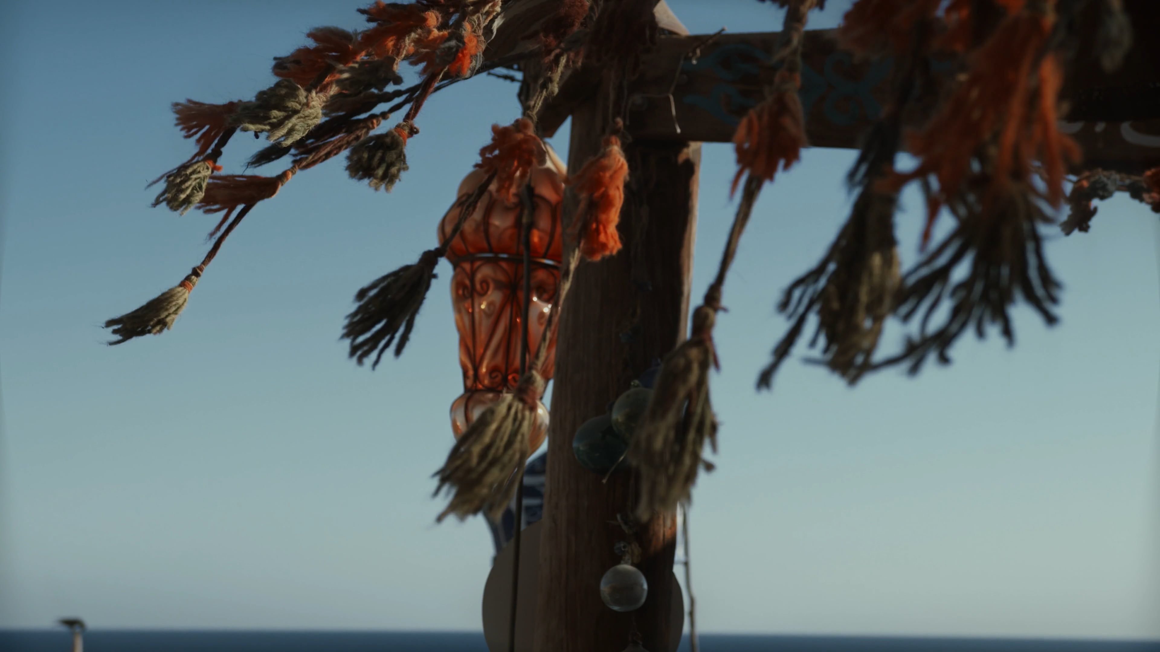 Tassels Swaying in the Wind Free Stock Video Footage, Royalty-Free 4K ...