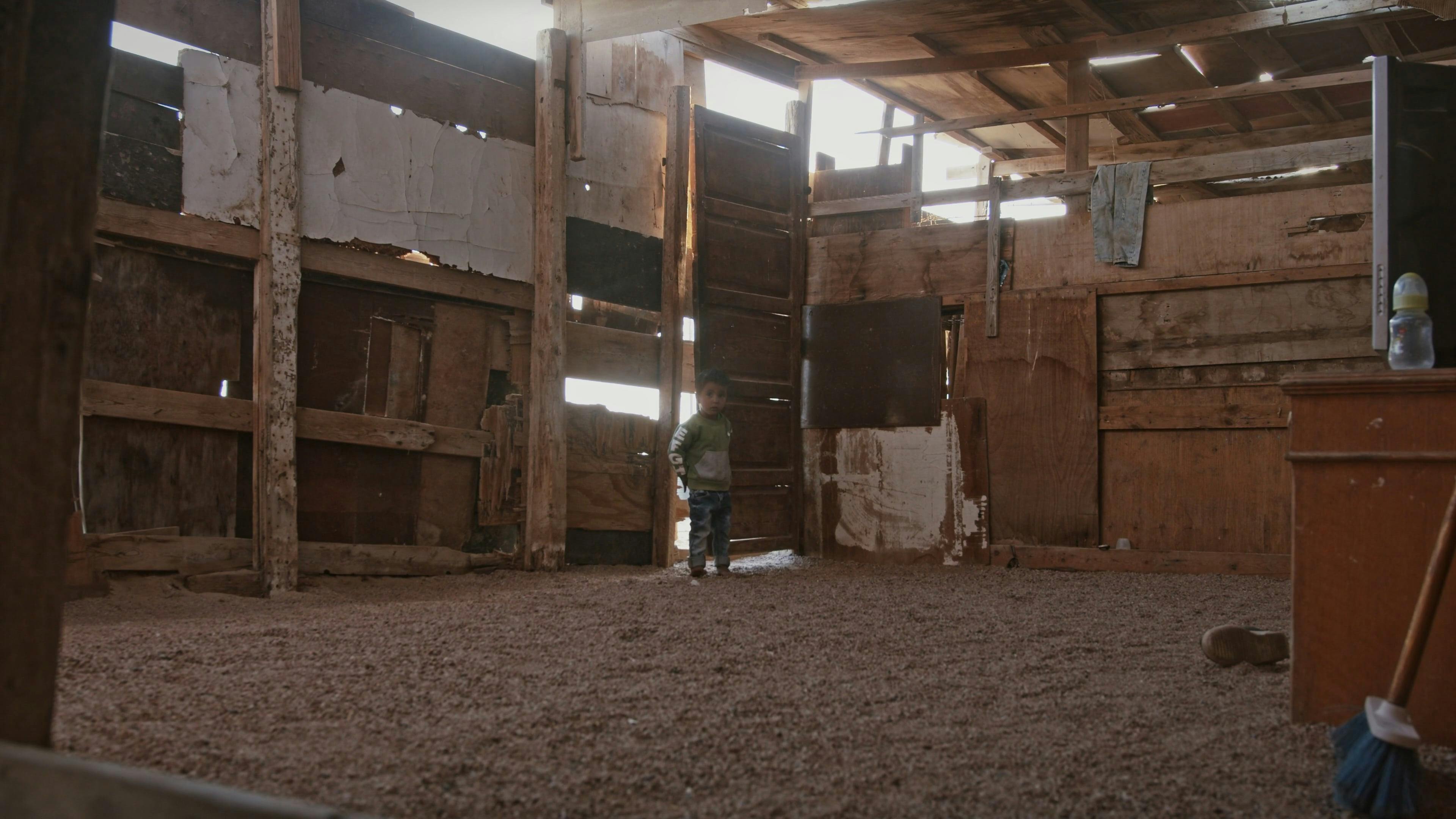 Poor Boy Videos, Download The BEST Free 4k Stock Video Footage & Poor ...