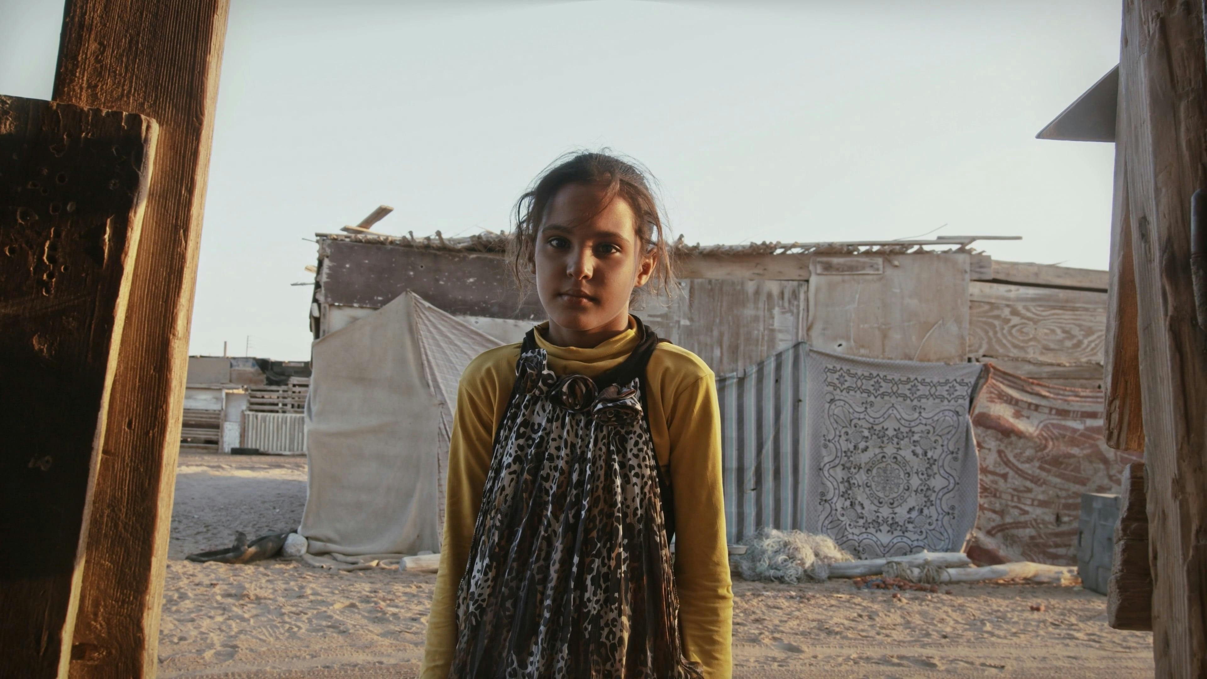 Adobe Express Videos, Download The BEST Free 4k Stock Video Footage ...