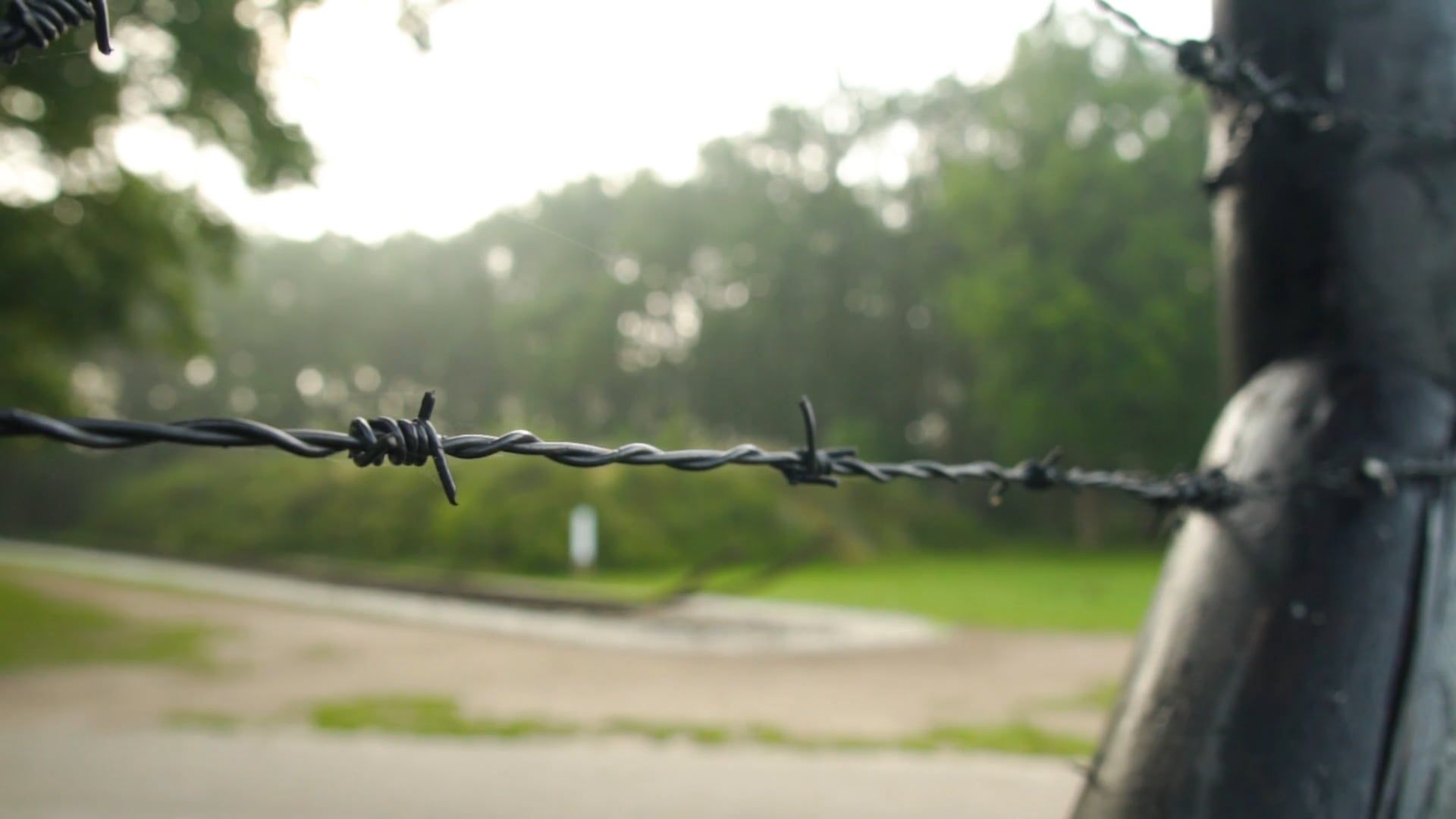 Close-Up Video of a Barbed Wire Free Stock Video Footage, Royalty-Free ...